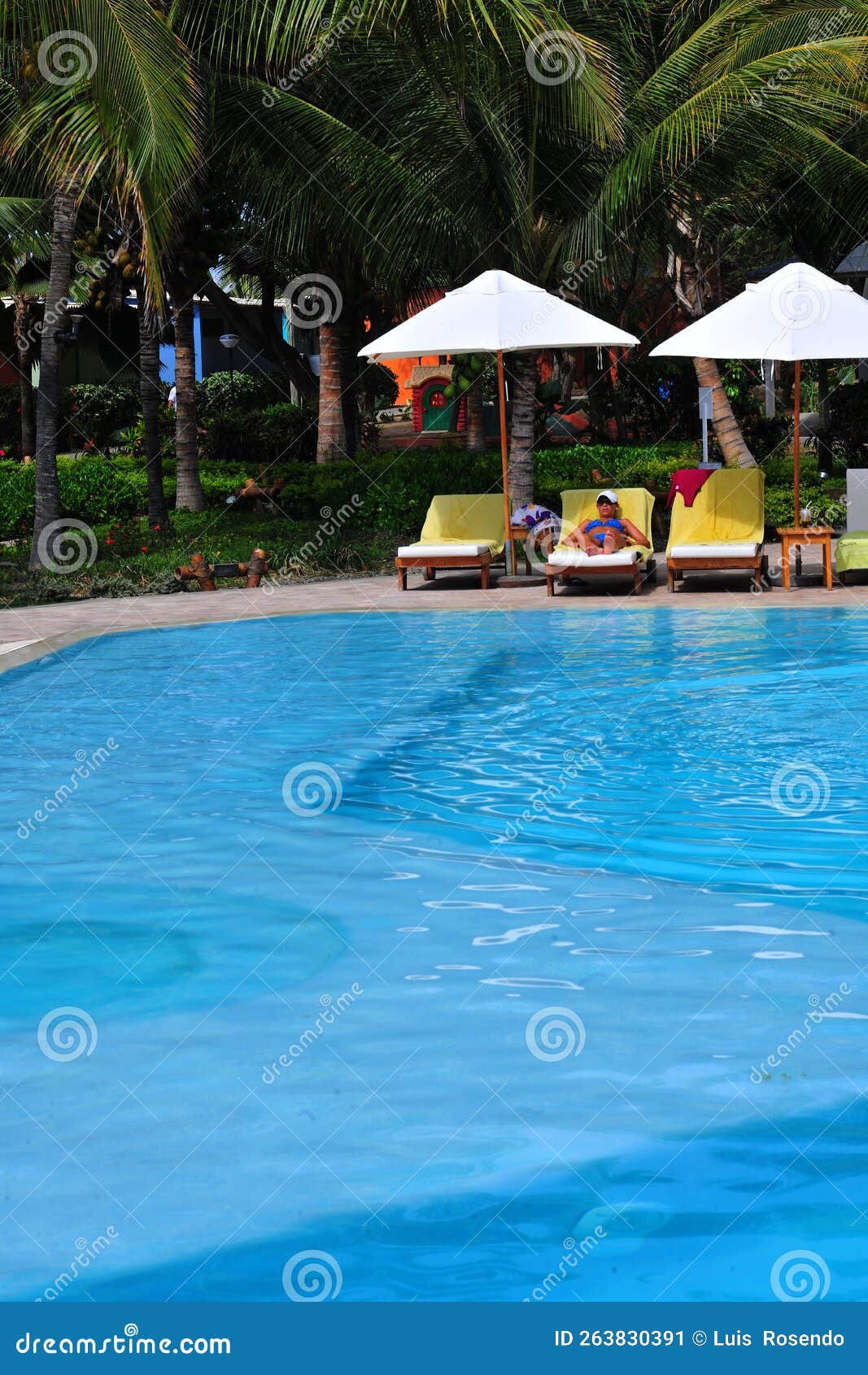 Pool with Blue Water and Tourists in a Hotel in Mancora Peru Stock ...