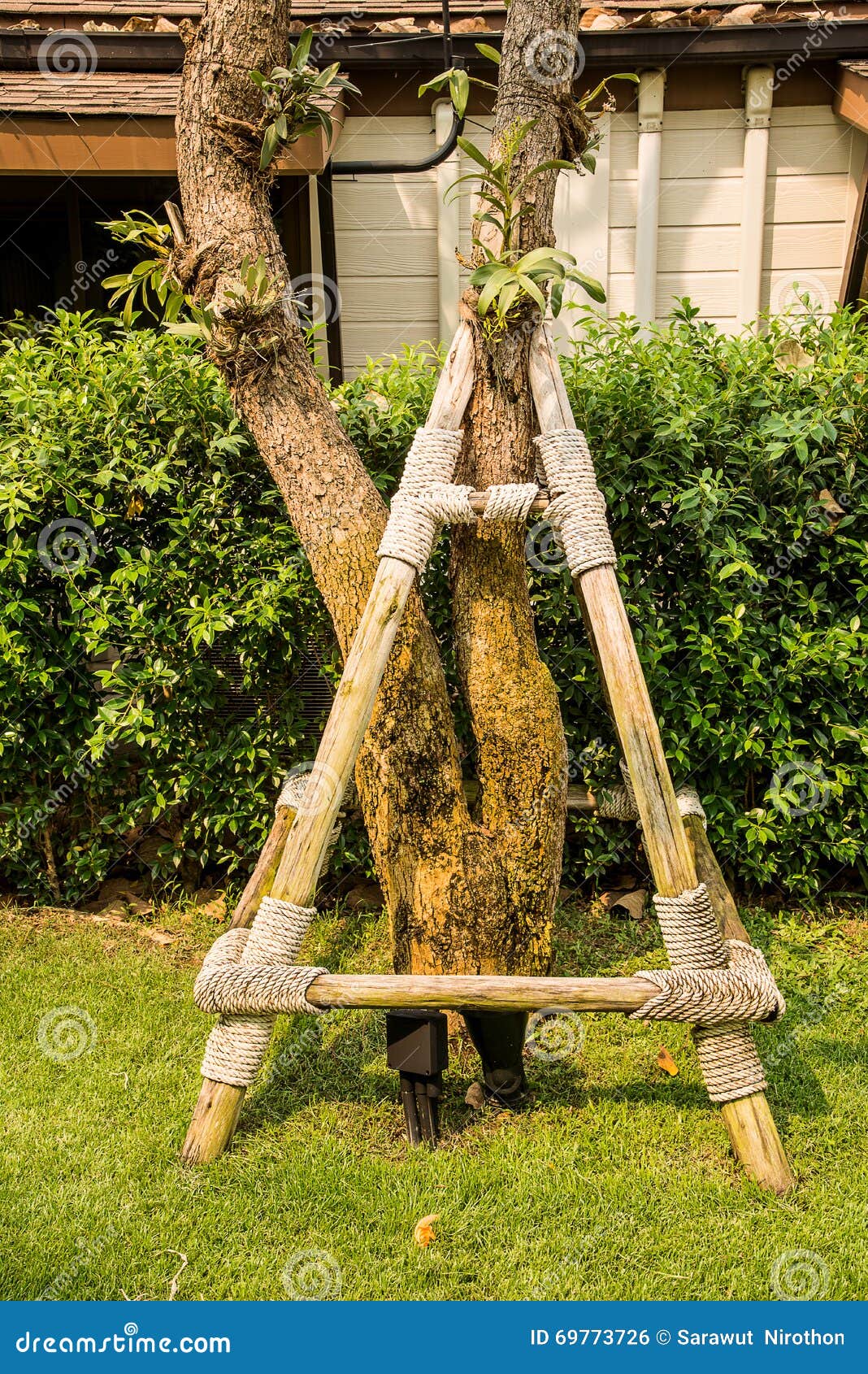 Pool-boom Nieuwe Installatie Daarna Stock Foto - Image of boom, seizoen ...