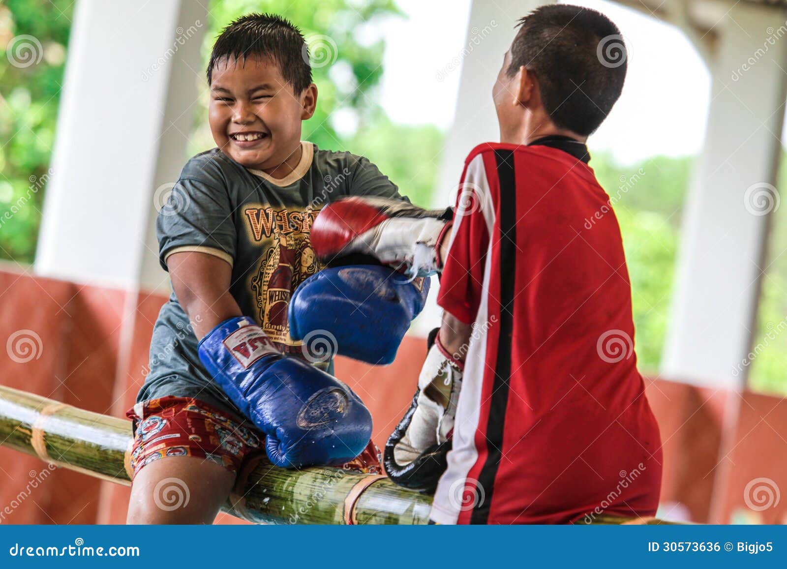 Pool boxing kids editorial photo. Image of native, health - 30573636