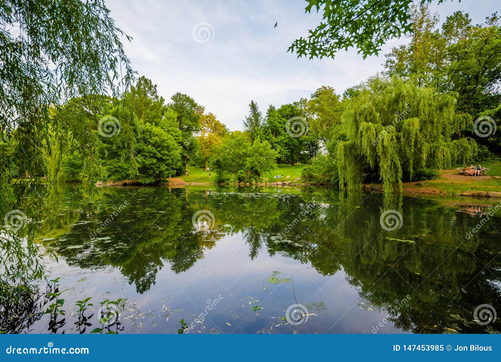 The Pool, in Central Park, Manhattan, New York City Stock Image - Image ...
