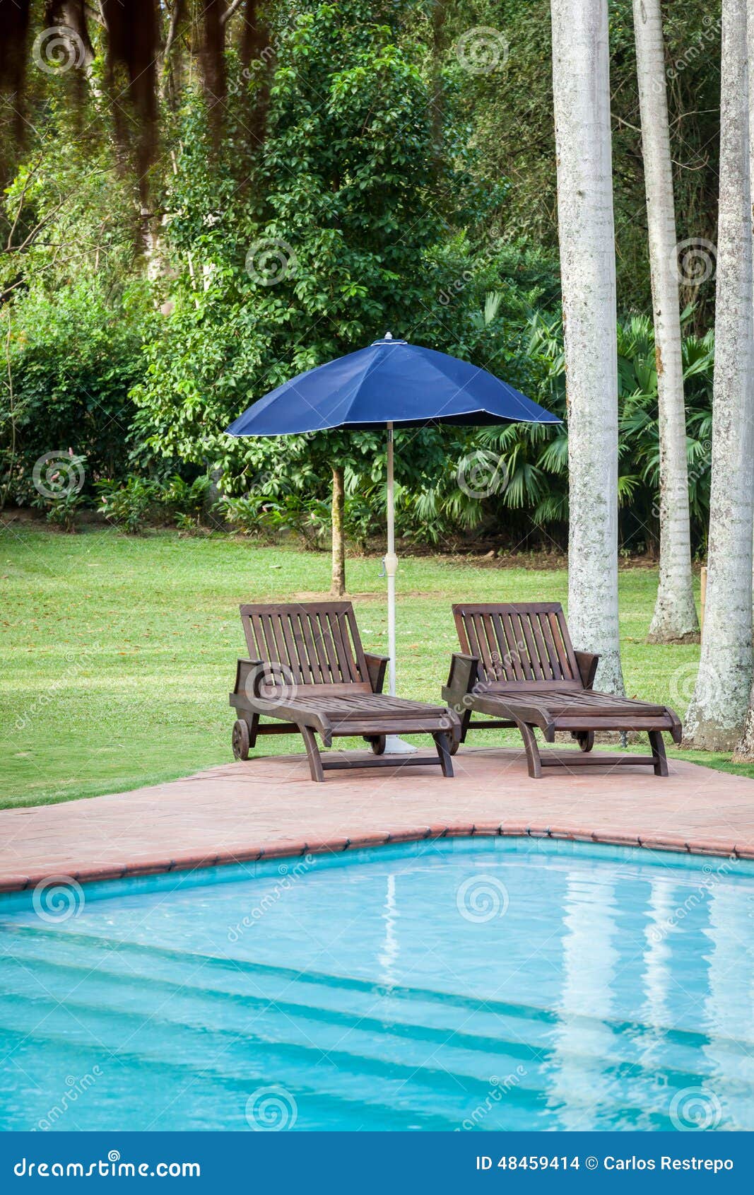 Pool chairs stock photo. Image of tropical, design, vacation - 48459414