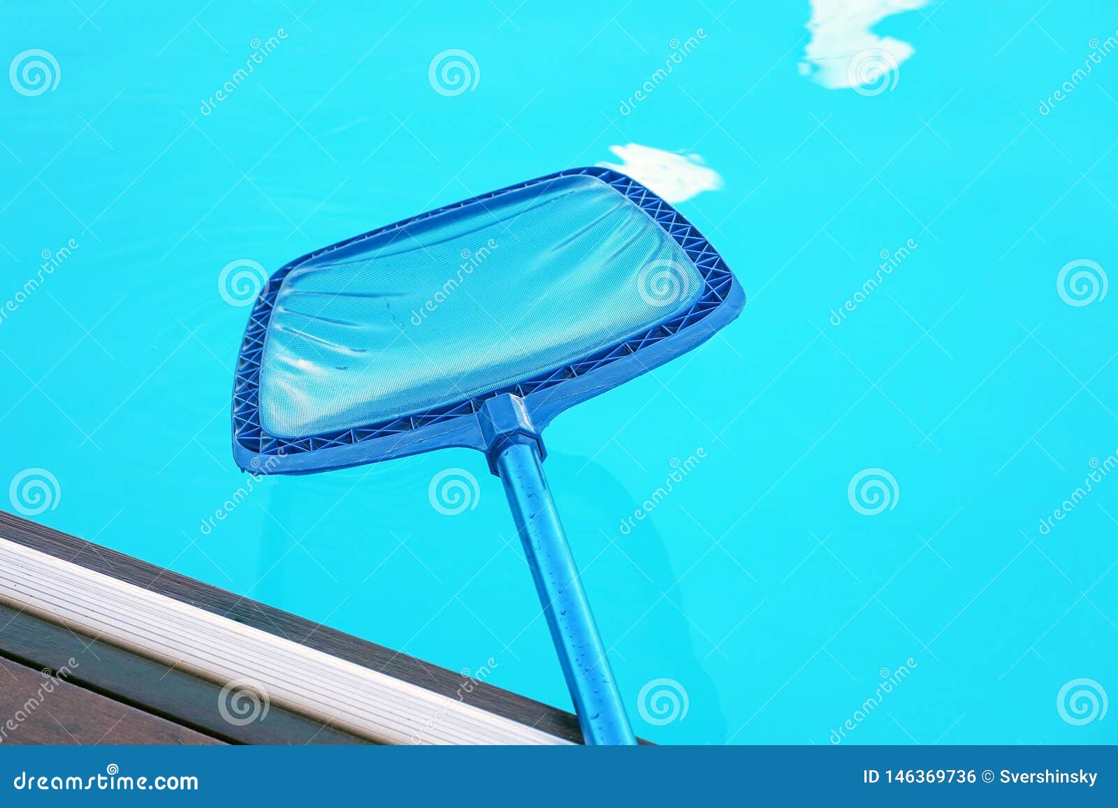 Hotel Staff Worker Cleaning the Pool Stock Photo - Image of staff ...