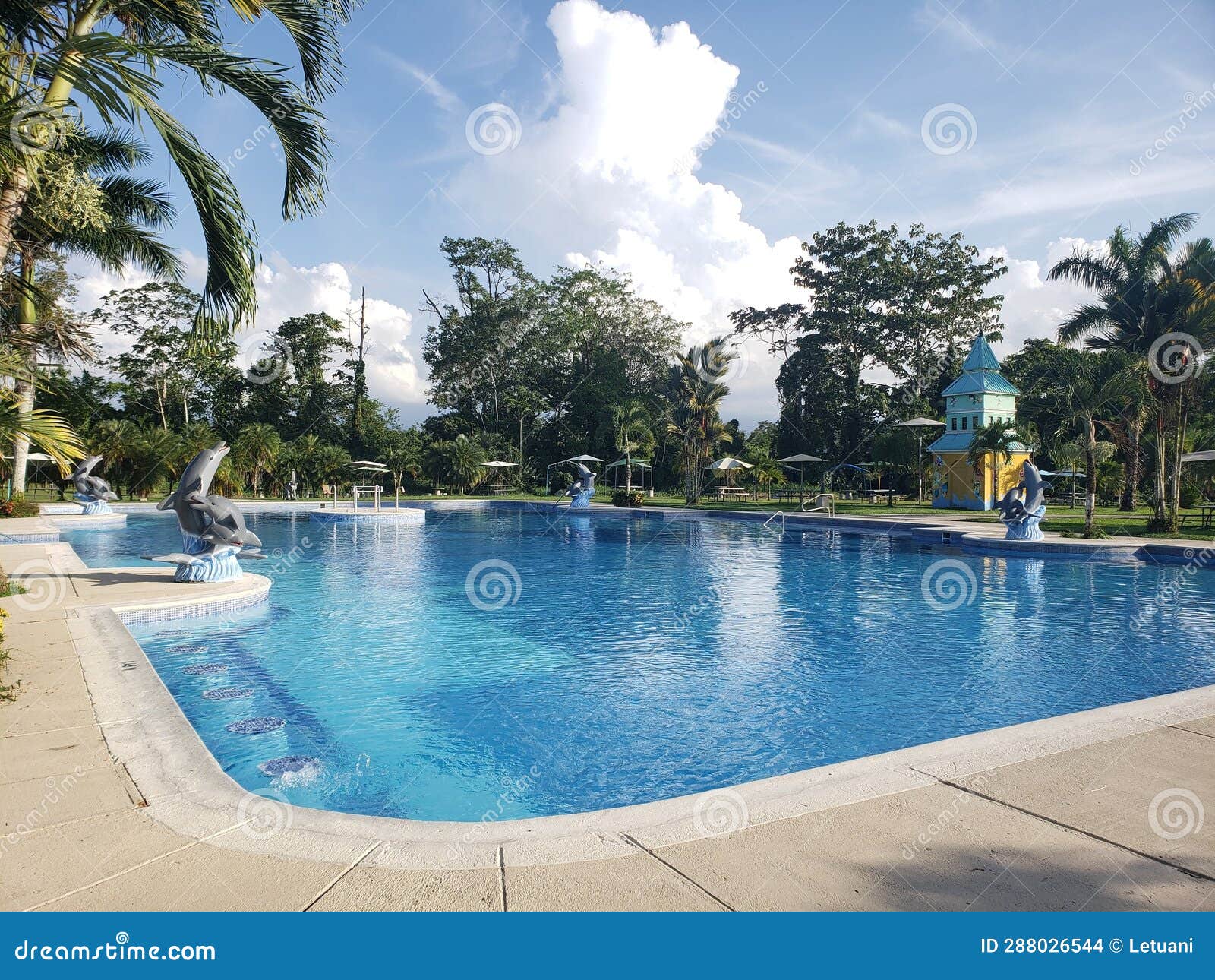 Pool corner angle stock photo. Image of corner, view - 288026544