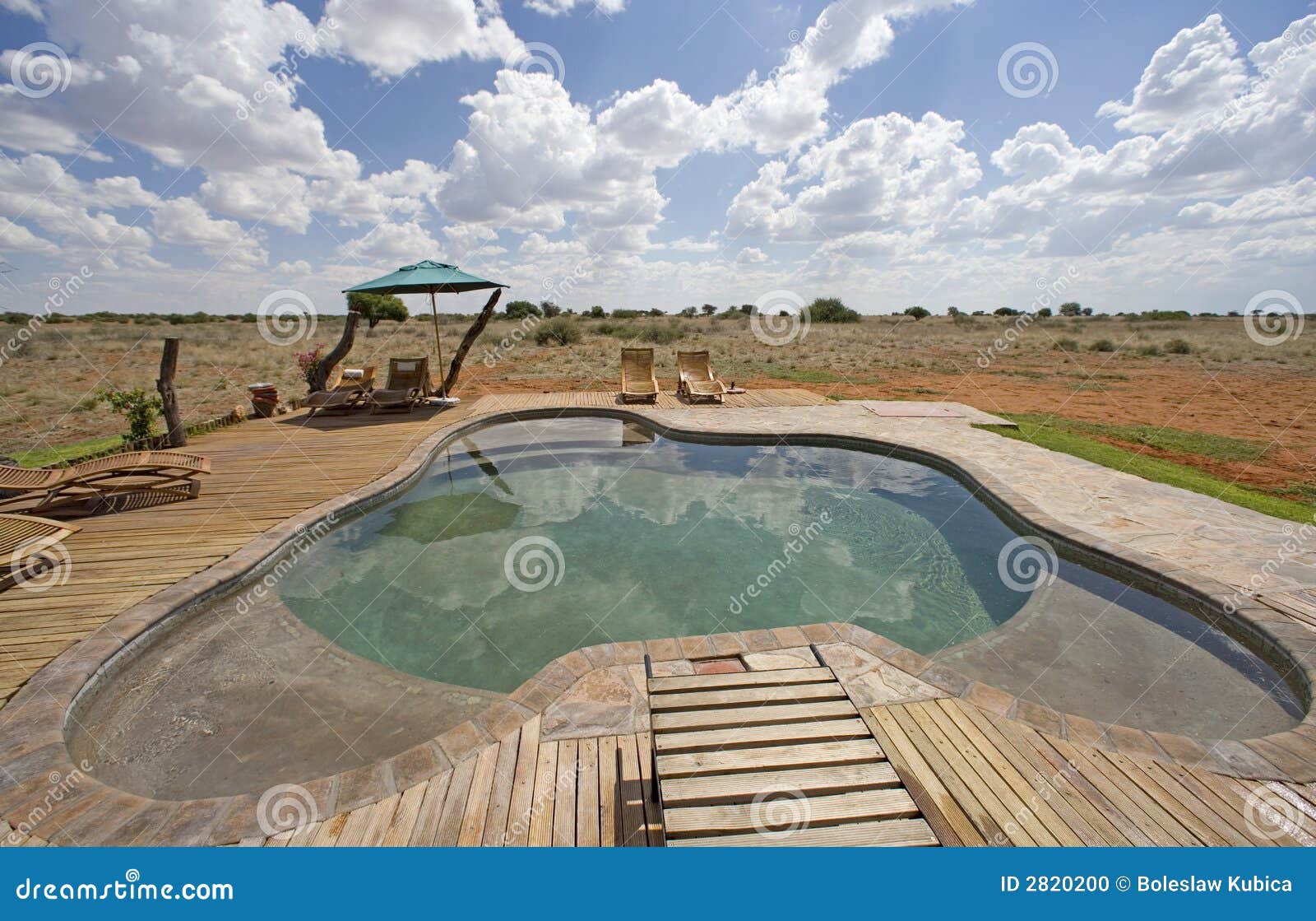Pool on desert stock photo. Image of palm, lounger, panorama - 2820200