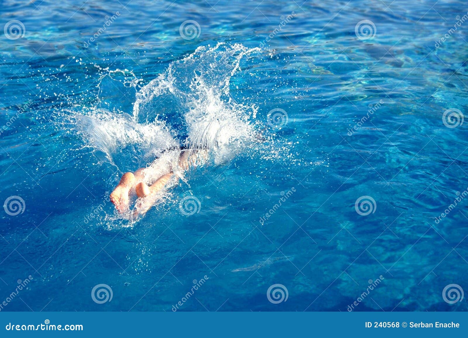 Pool dive - splash stock photo. Image of ocean, clear, summer - 240568