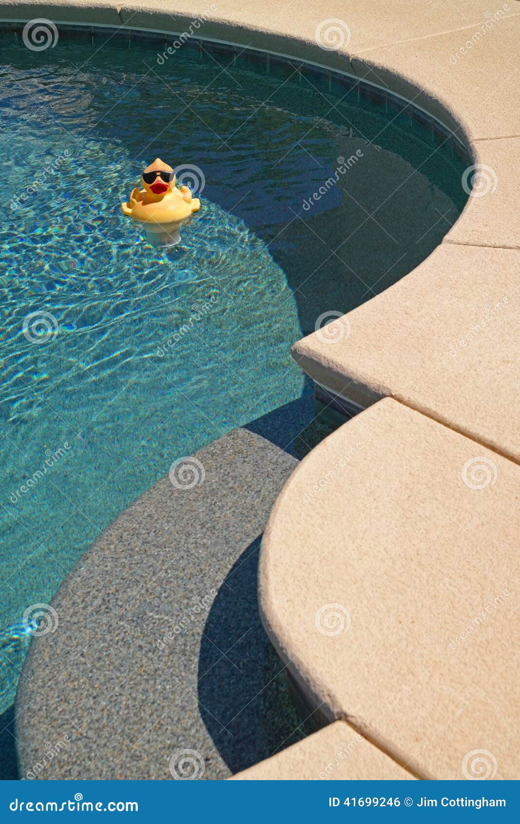 Pool Ducky stock photo. Image of happy, ducky, home, play - 41699246