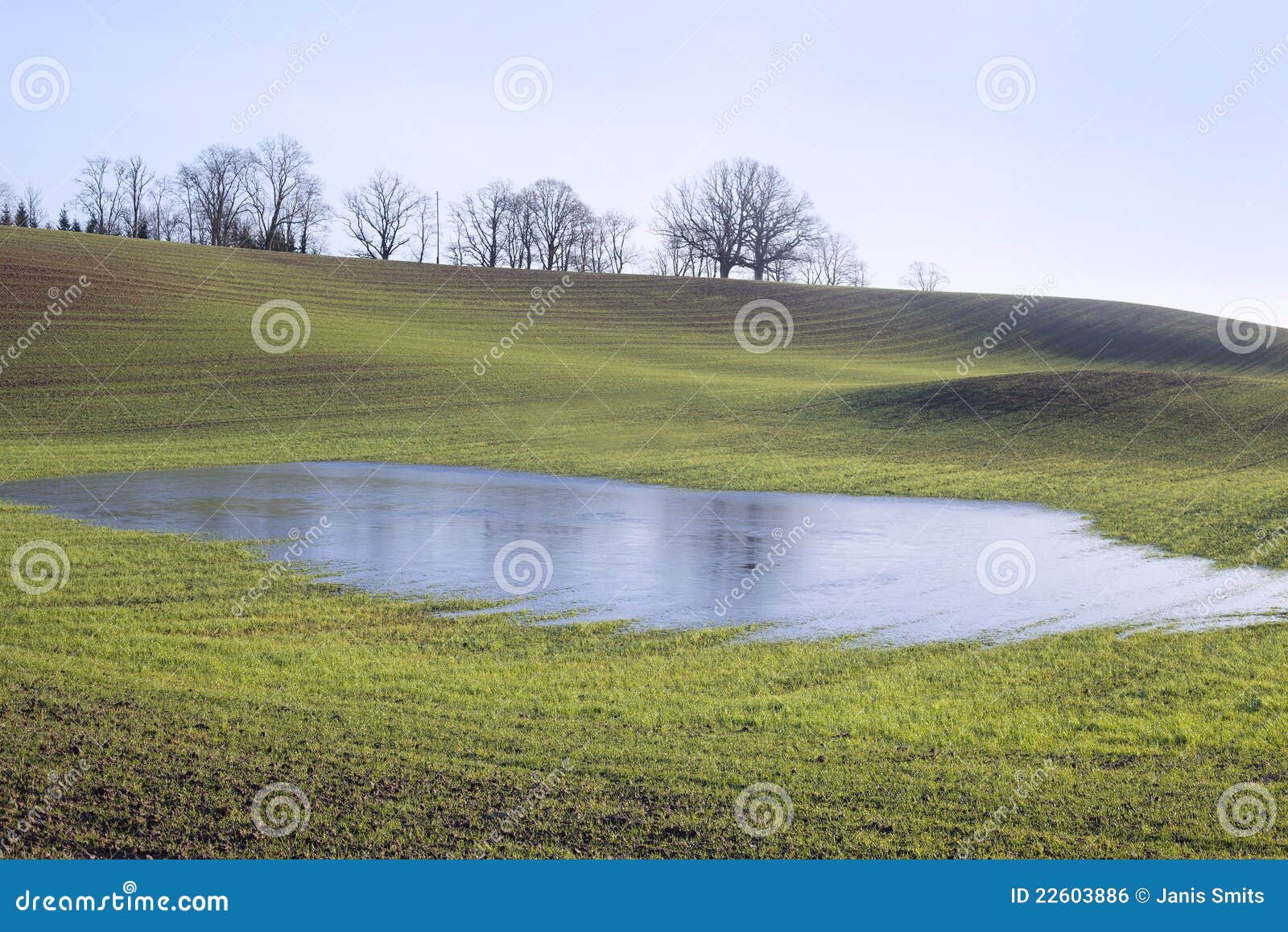 Pool in field. stock photo. Image of green, pool, iceblue - 22603886