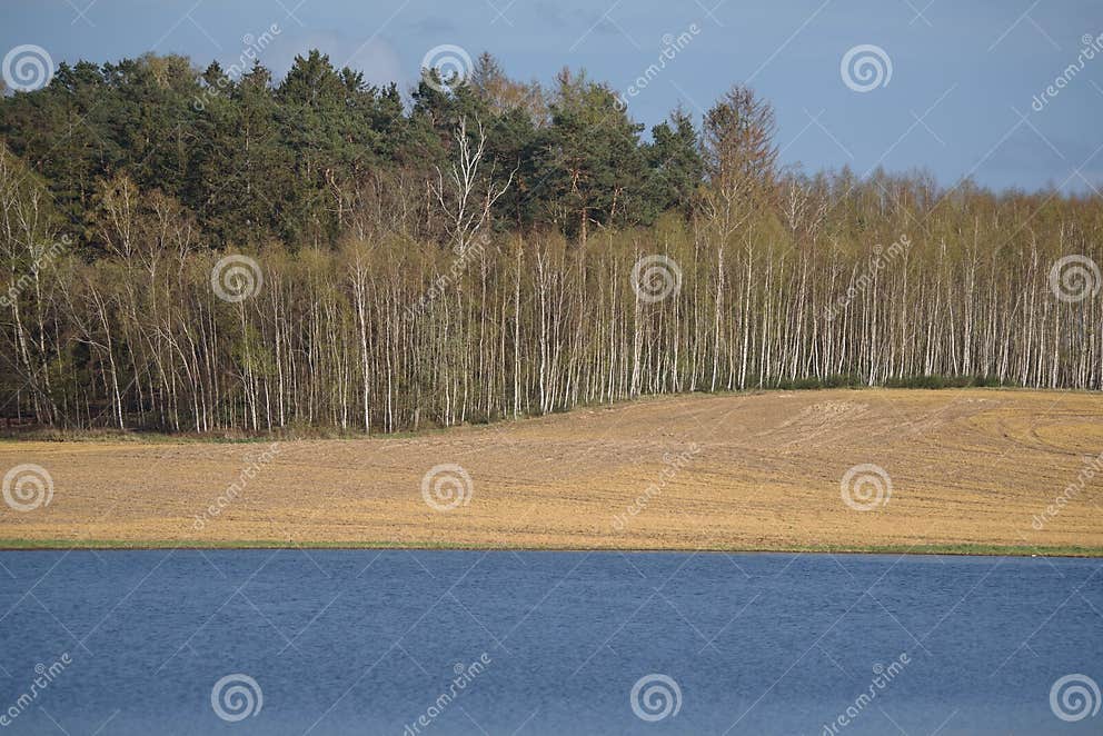 POOL in the FIELD stock photo. Image of nature, field - 315094740