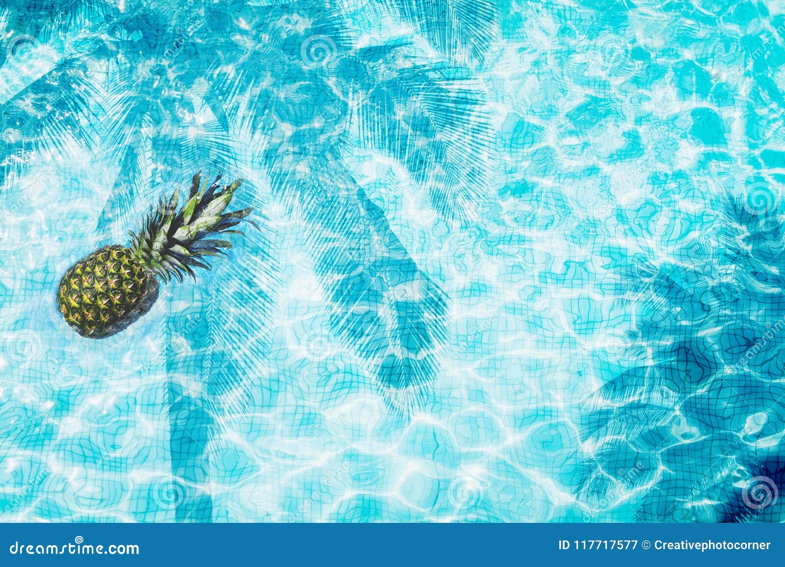 104 Float Palm Spring Stock Photos - Free & Royalty-Free Stock Photos ...