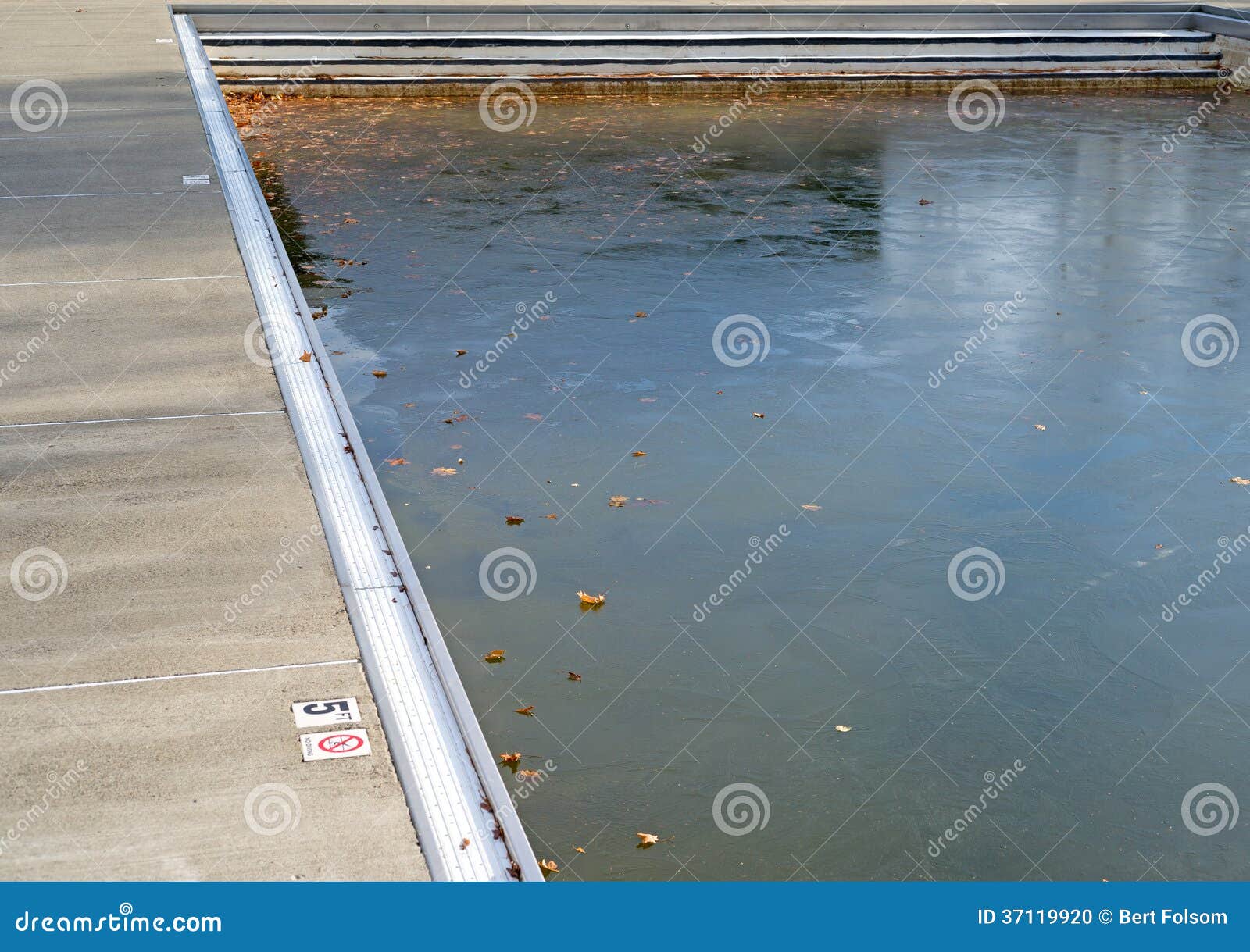 Pool Freezing in Early Winter Stock Photo - Image of exercise, autumn ...