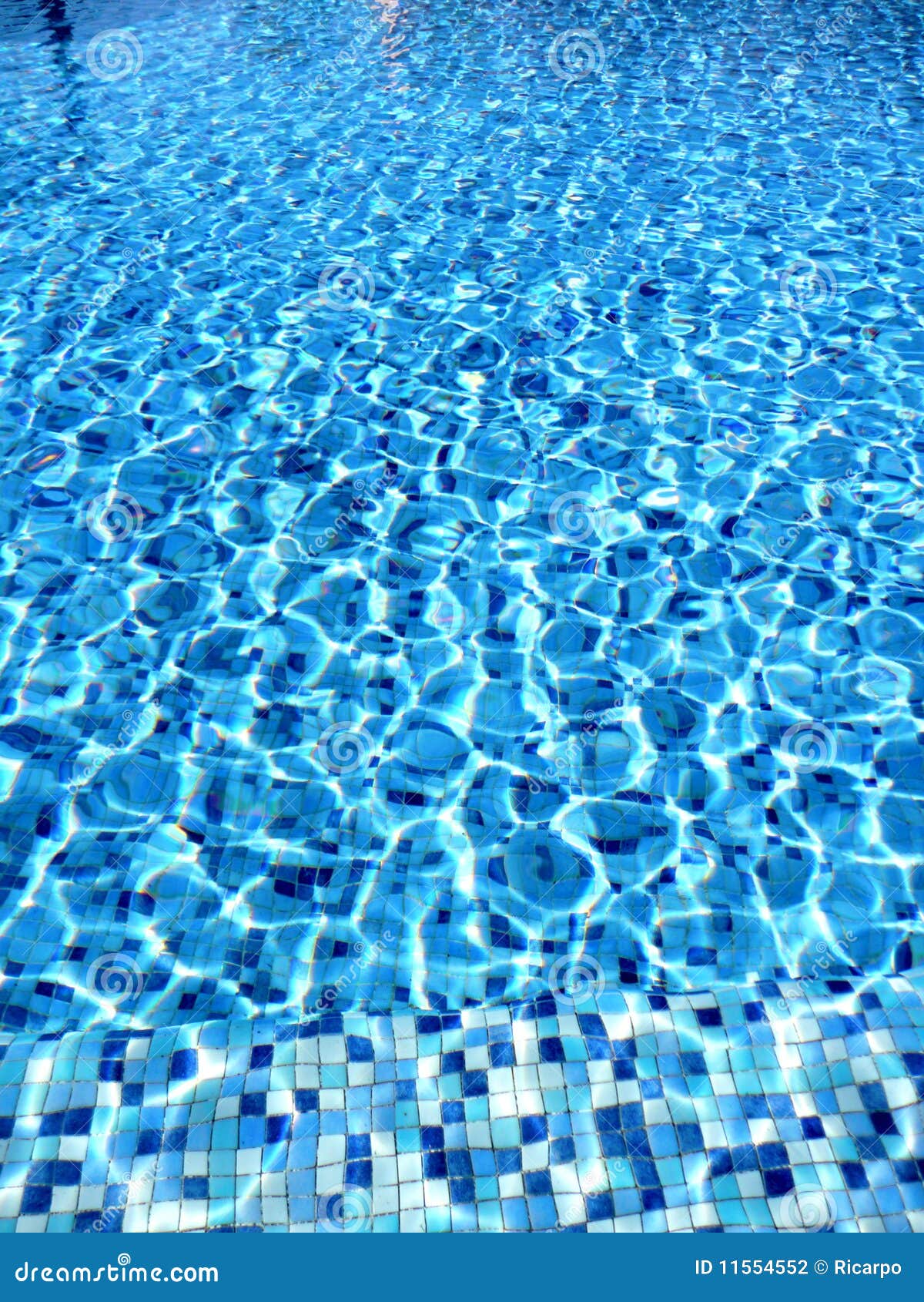 Pool Fund stock photo. Image of summer, blue, pool, swimming - 11554552