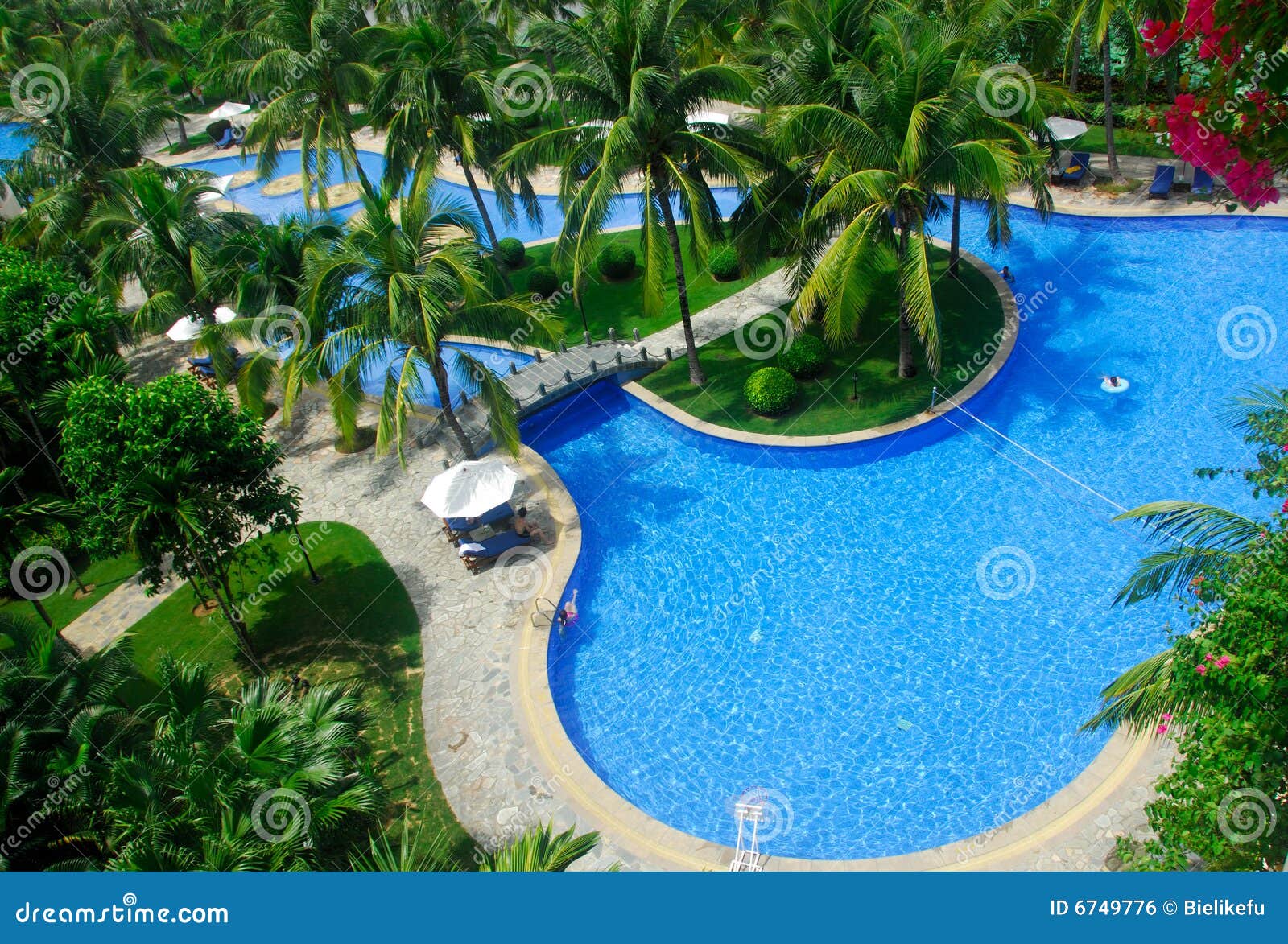 Pool of Golden Palm Resort stock photo. Image of brings - 6749776