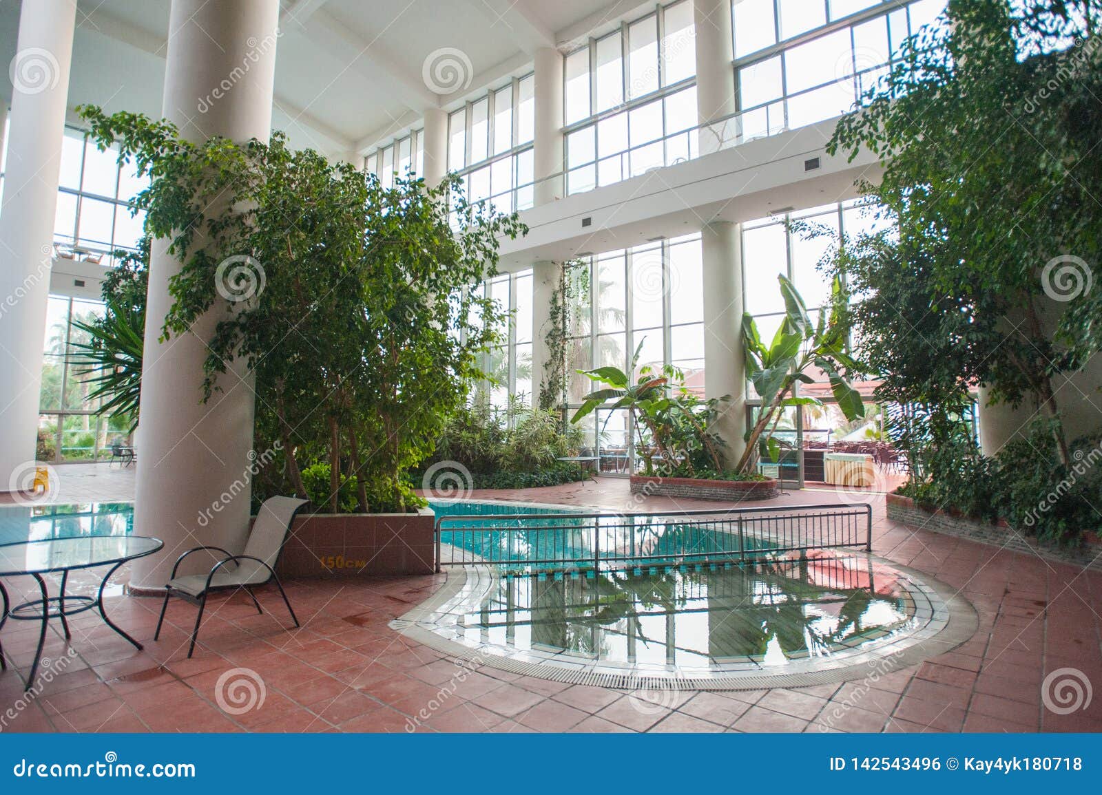 Pool Inside the Building, Surrounded by Plants Stock Photo - Image of ...