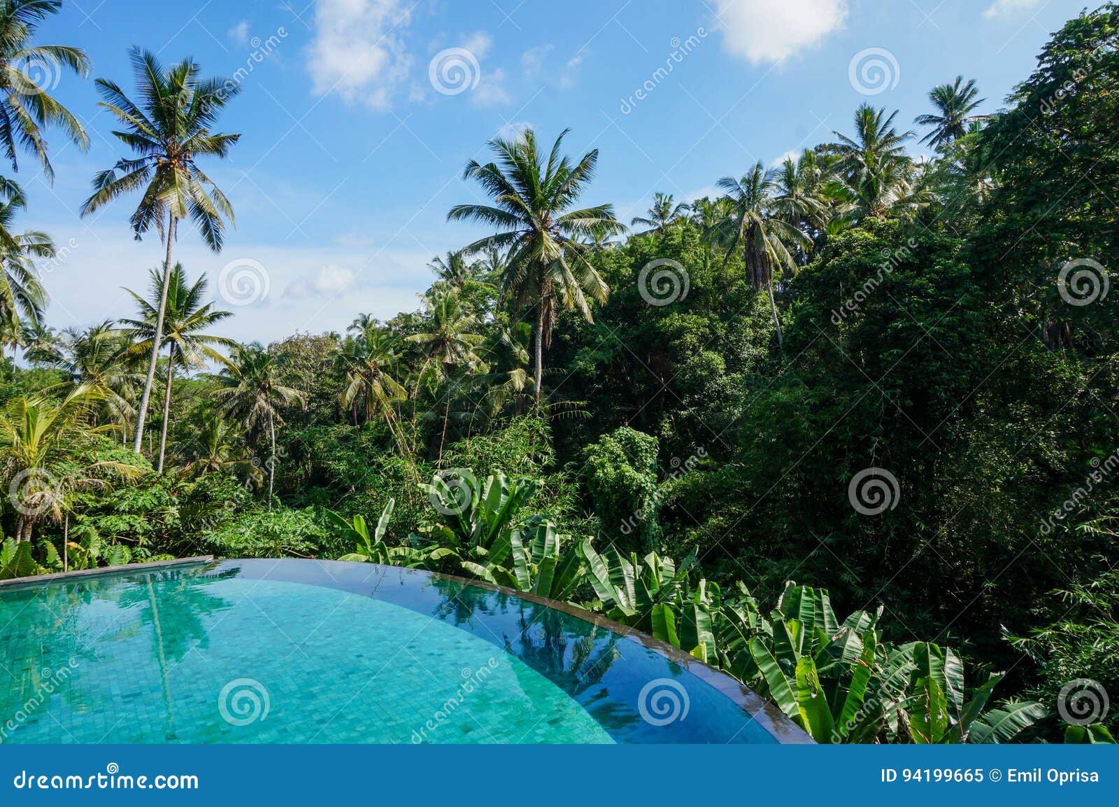 Pool with jungle view stock image. Image of summer, rainforest - 94199665