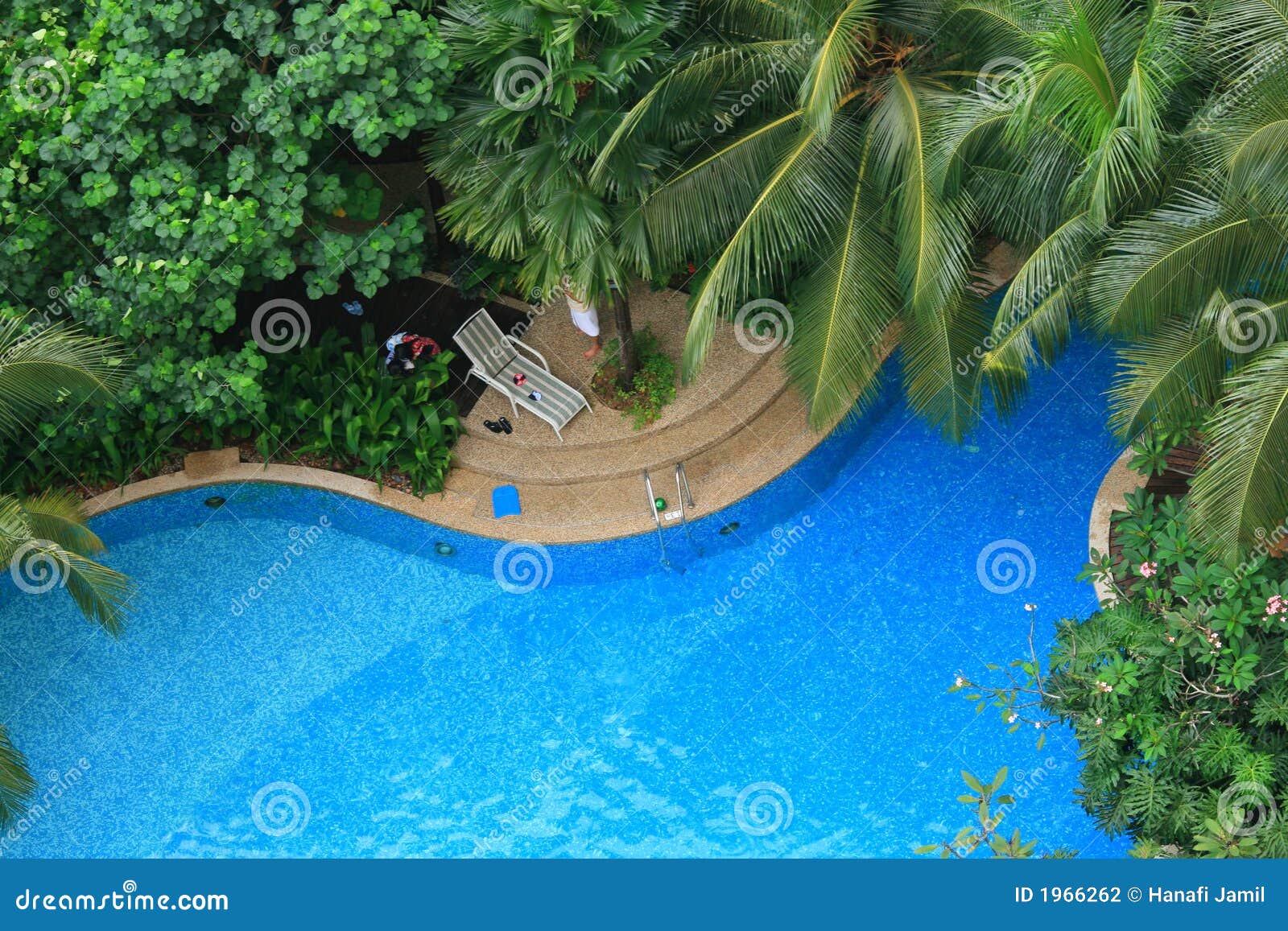 Pool Landscape stock photo. Image of travel, hotel, green - 1966262
