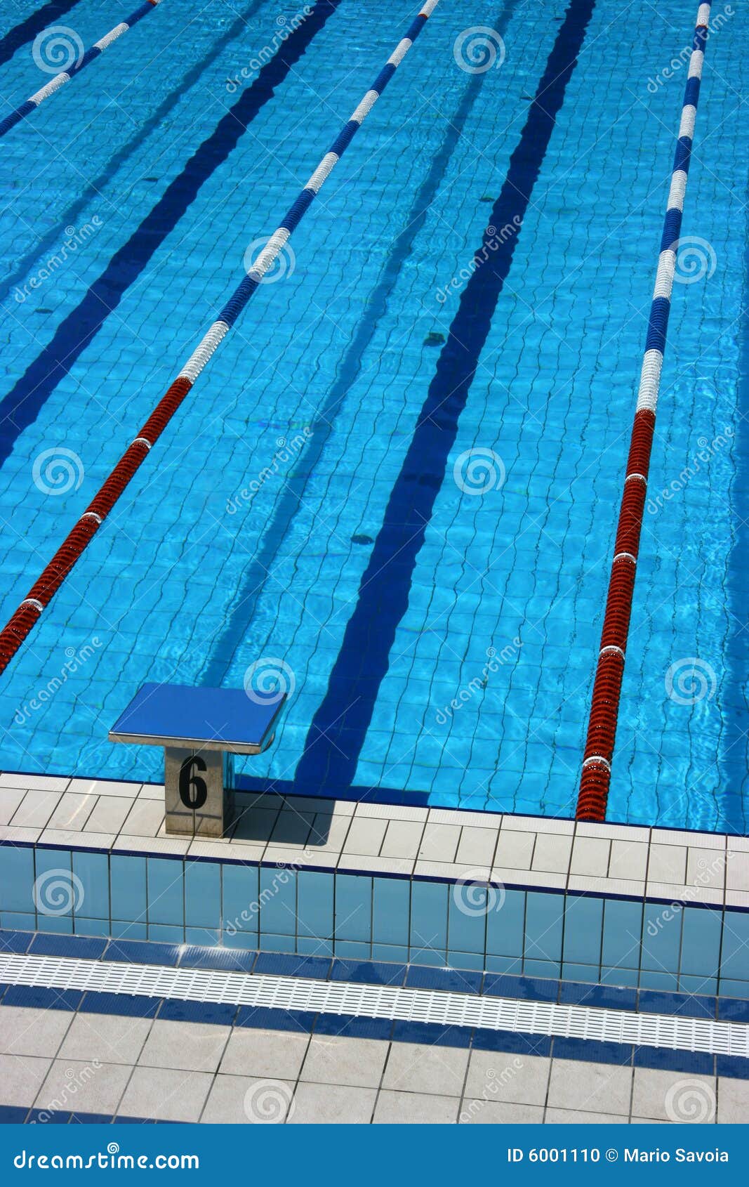 Pool lane six stock photo. Image of stripe, race, concept - 6001110