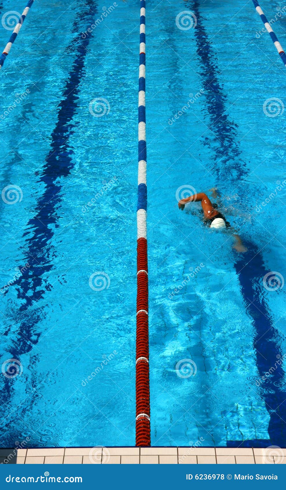 Pool lane vertical stock photo. Image of exercise, action - 6236978