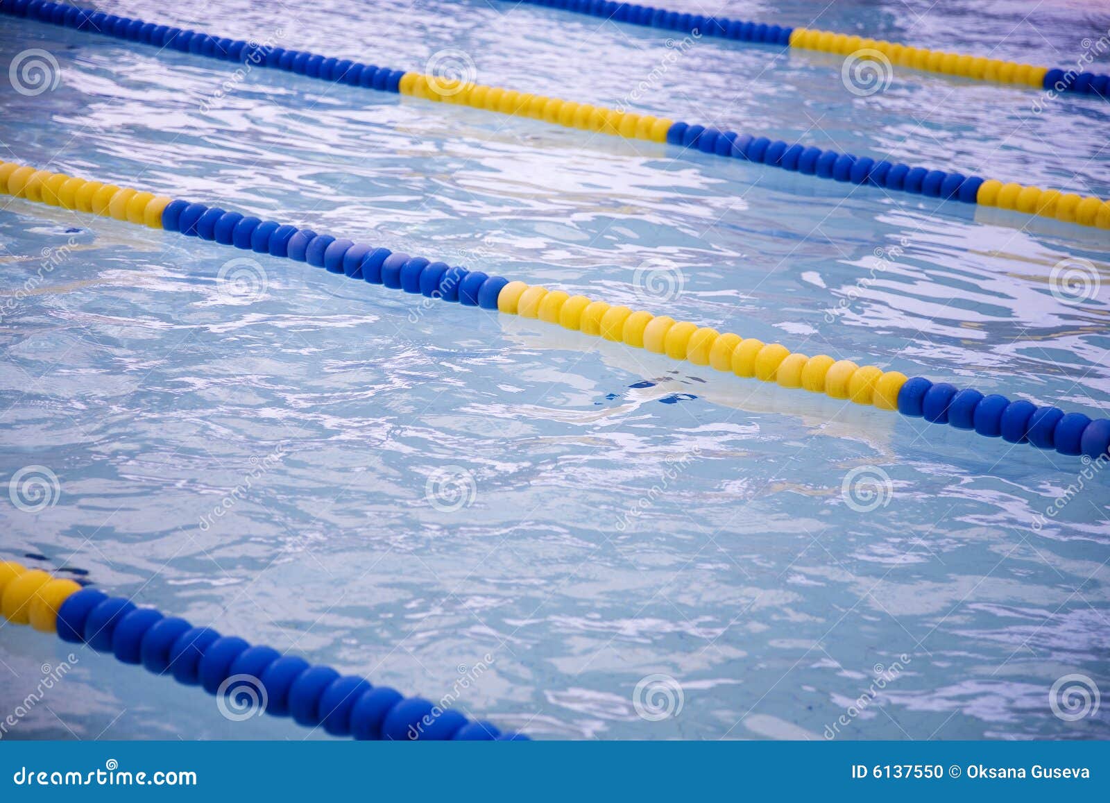 Pool lanes stock photo. Image of pool, reflection, transparent - 6137550