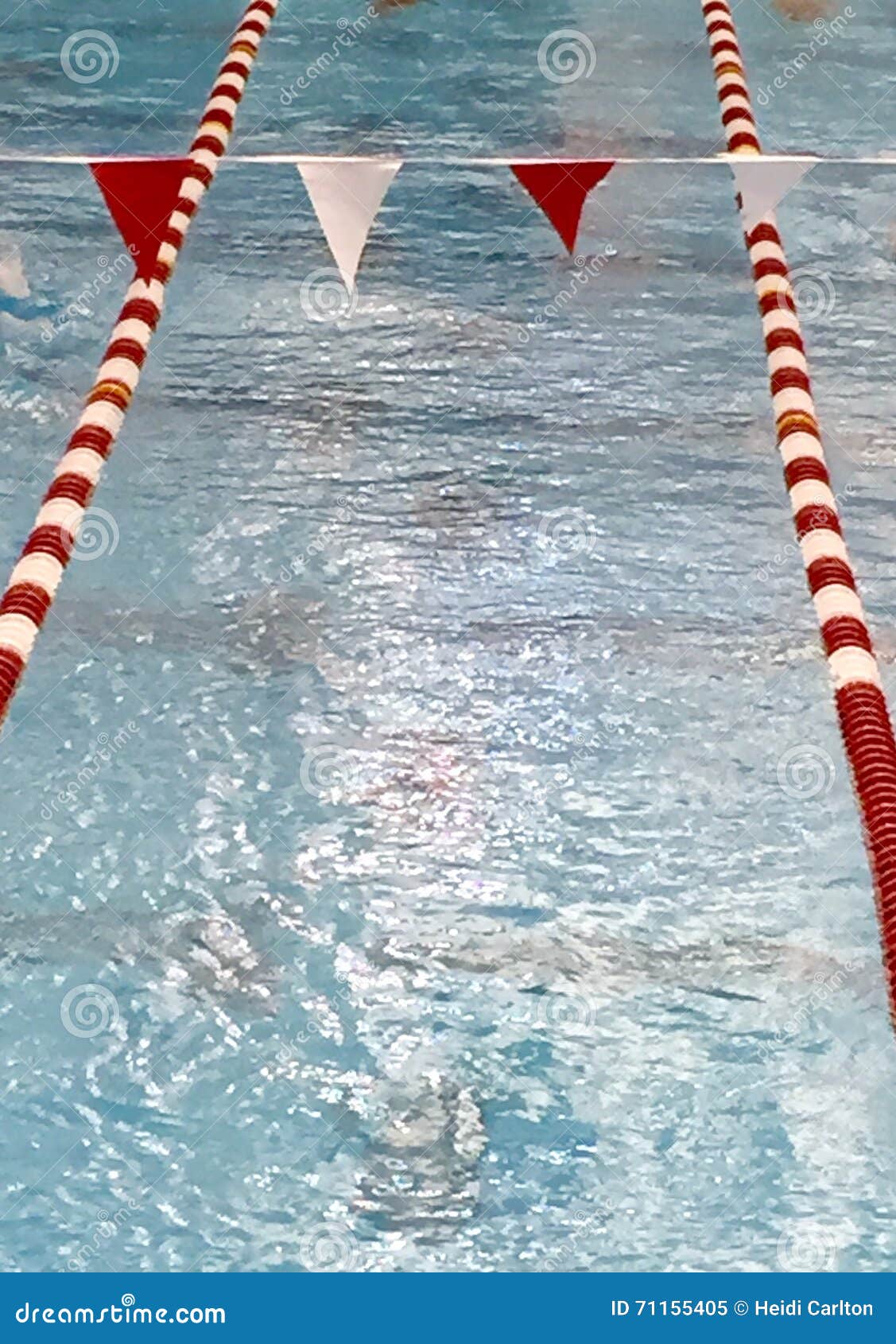 Pool Lanes stock image. Image of lanes, lines, lane, pool - 71155405