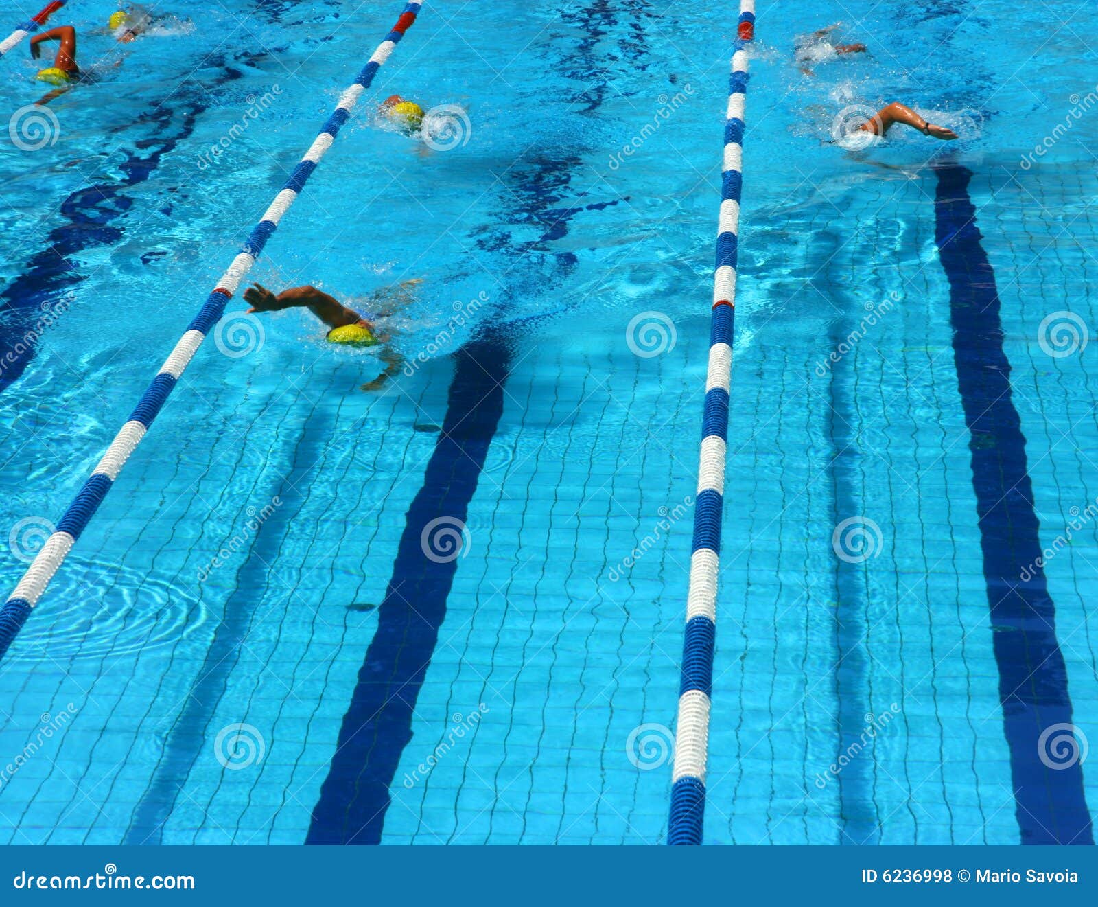 Pool lanes vertical stock photo. Image of sports, compete - 6236998