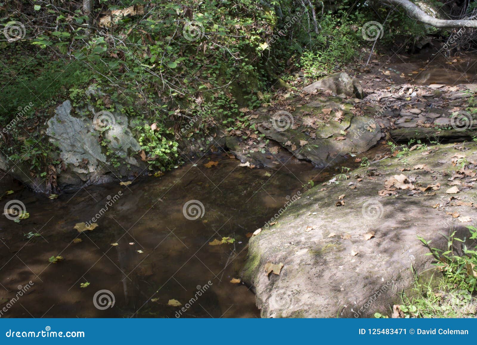 Pool and large rocks stock image. Image of nature, shaded - 125483471