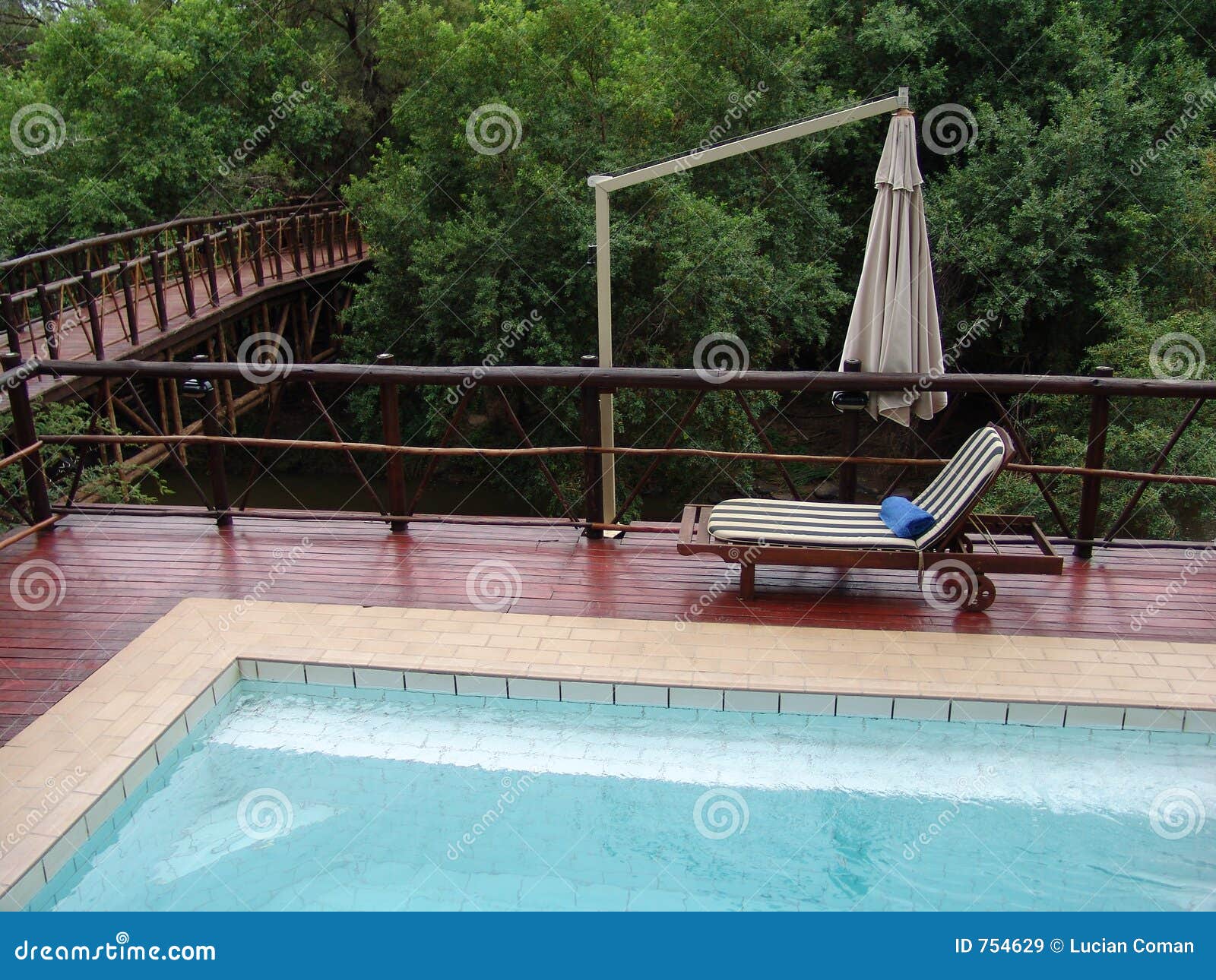 Pool and nature stock image. Image of narrow, rivulet, leaf - 754629