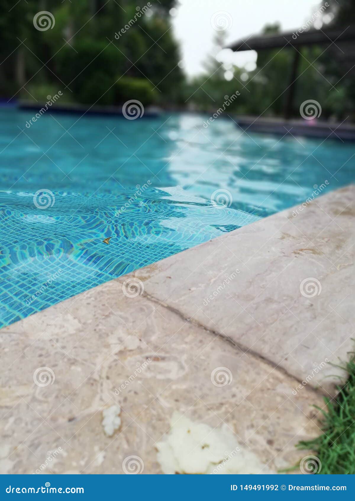 Pool stock photo. Image of poolside, view, pool, calm - 149491992