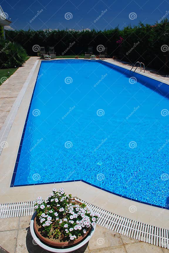 Pool at noon 2 stock photo. Image of swimming, green, blue - 5897216