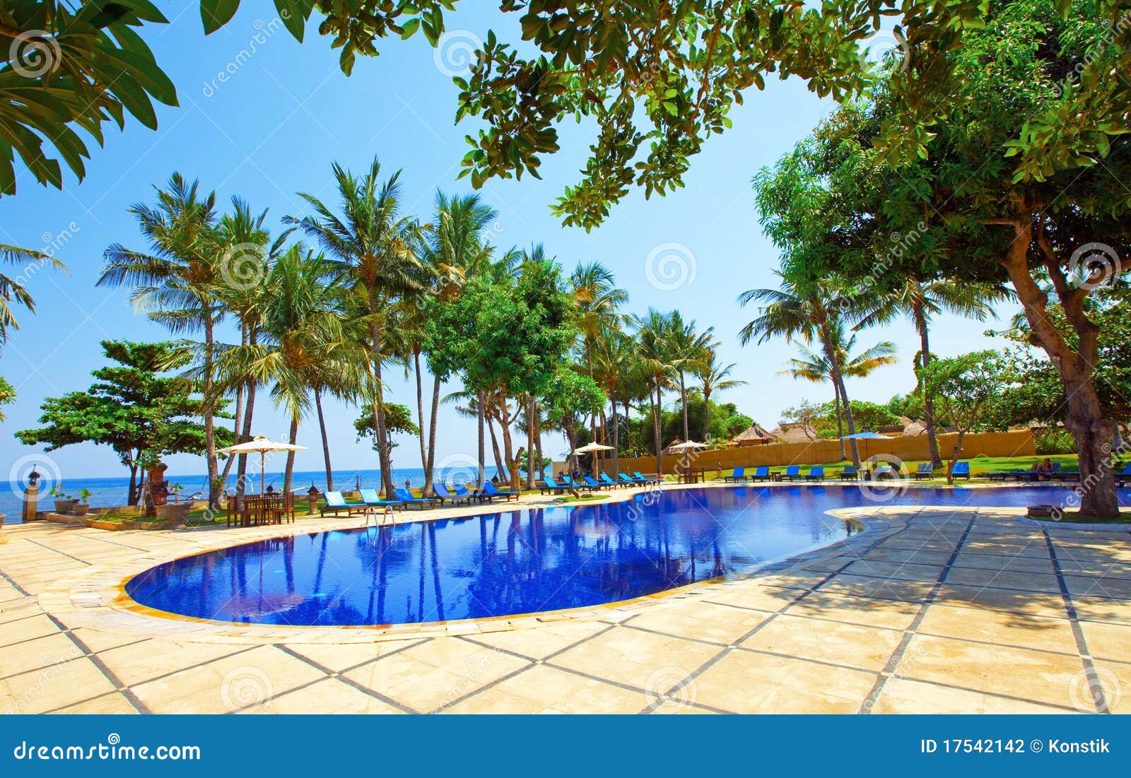 Pool, Ocean, Palm Trees Indonesia. Bali Stock Photo - Image of paradise ...