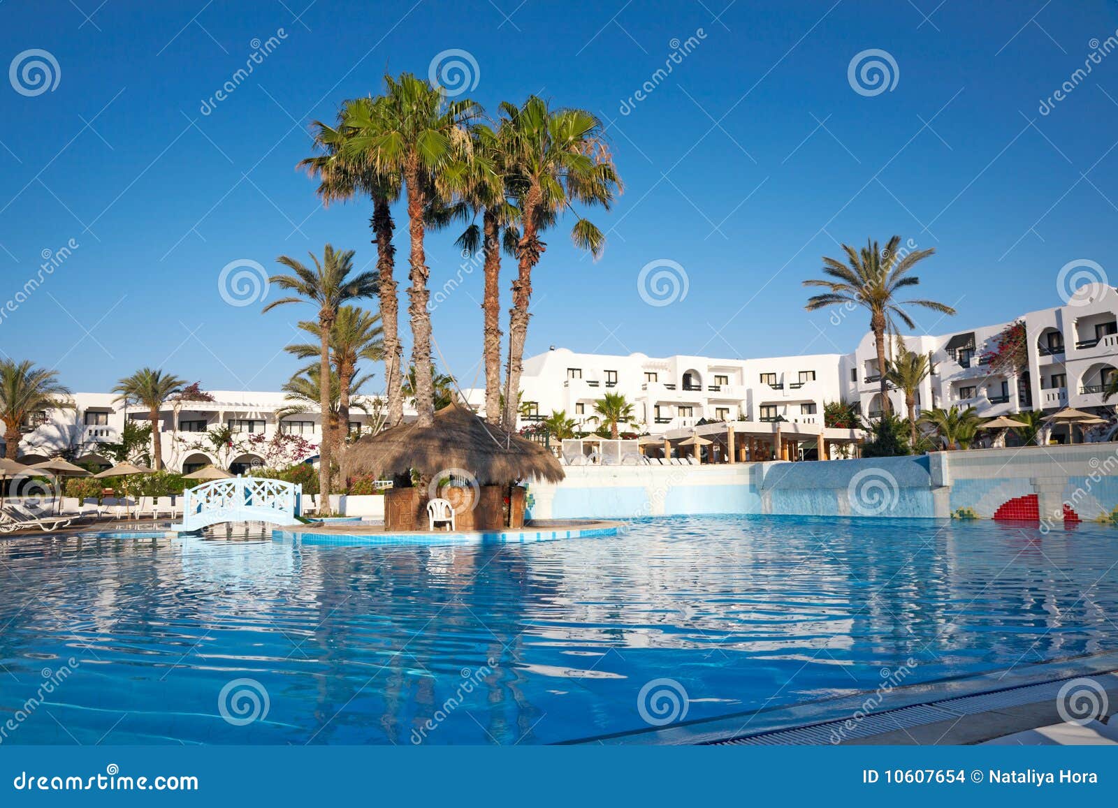 Pool with palm trees stock photo. Image of leisure, poolside - 10607654