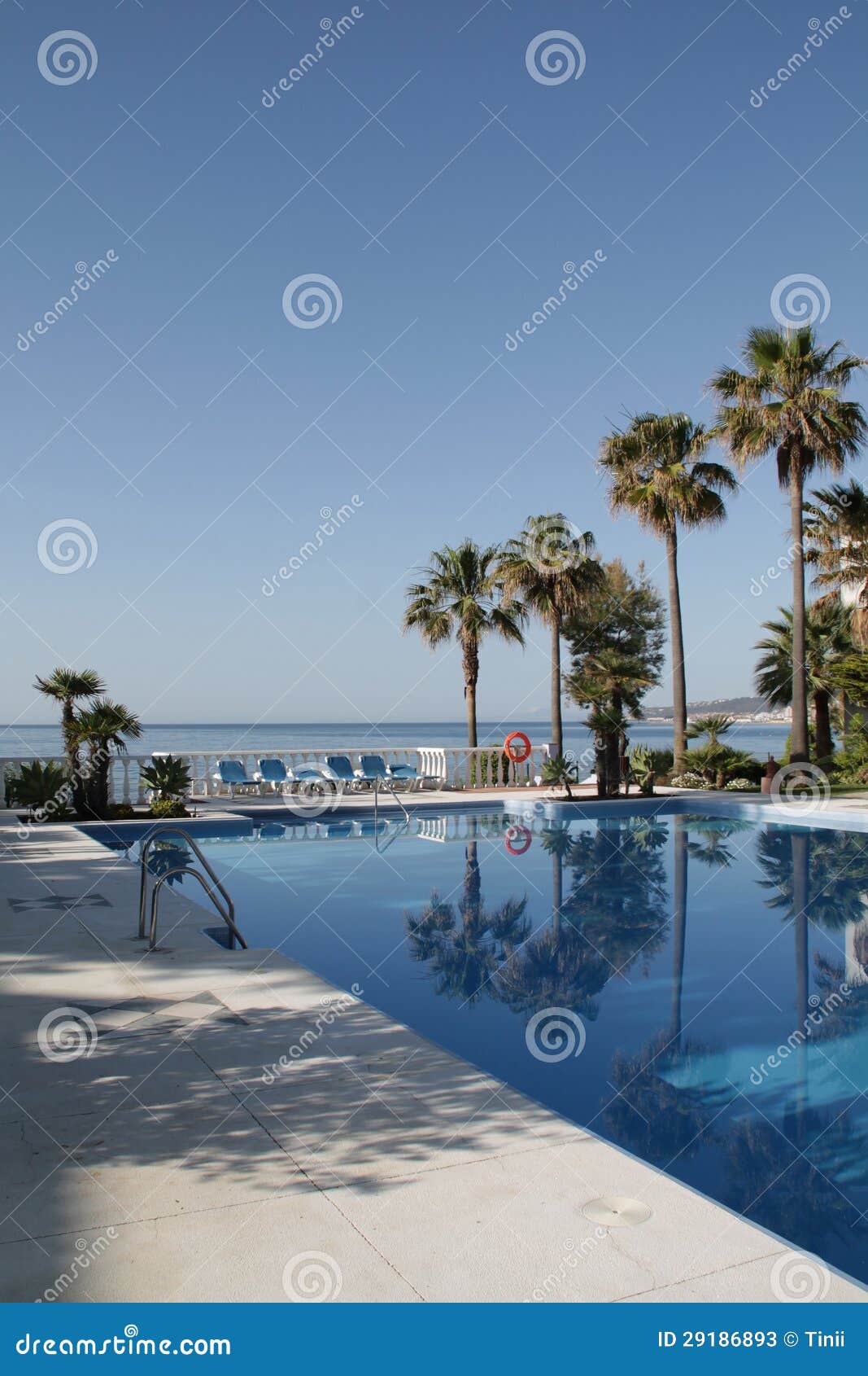 Pool and palms stock image. Image of palms, swimmingpool - 29186893