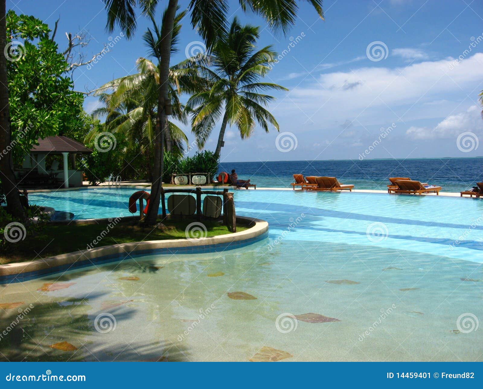 Pool in the paradise. stock image. Image of bech, palm - 14459401