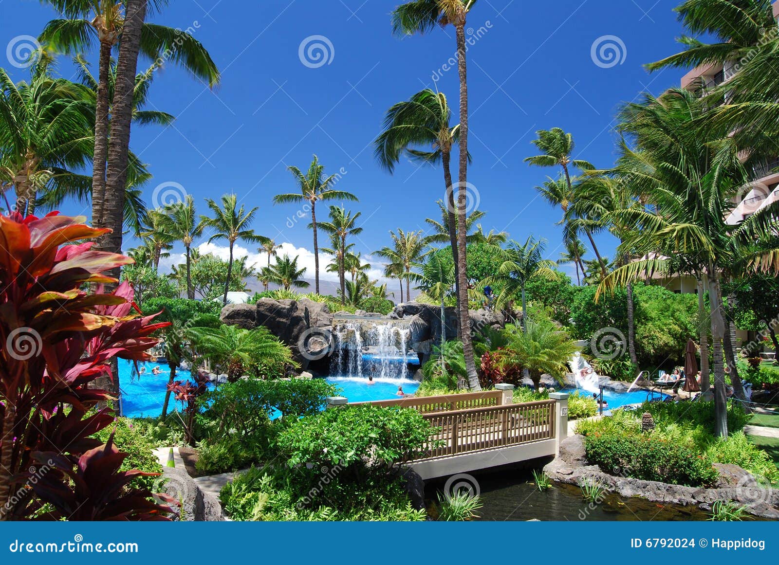 Pool in Paradise stock photo. Image of waterfall, swimming - 6792024