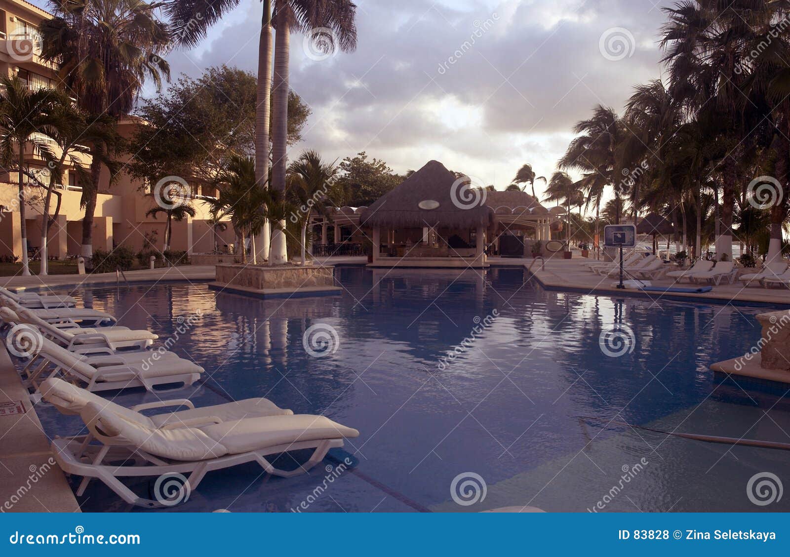 Pool place stock photo. Image of chairs, tourism, palms - 83828