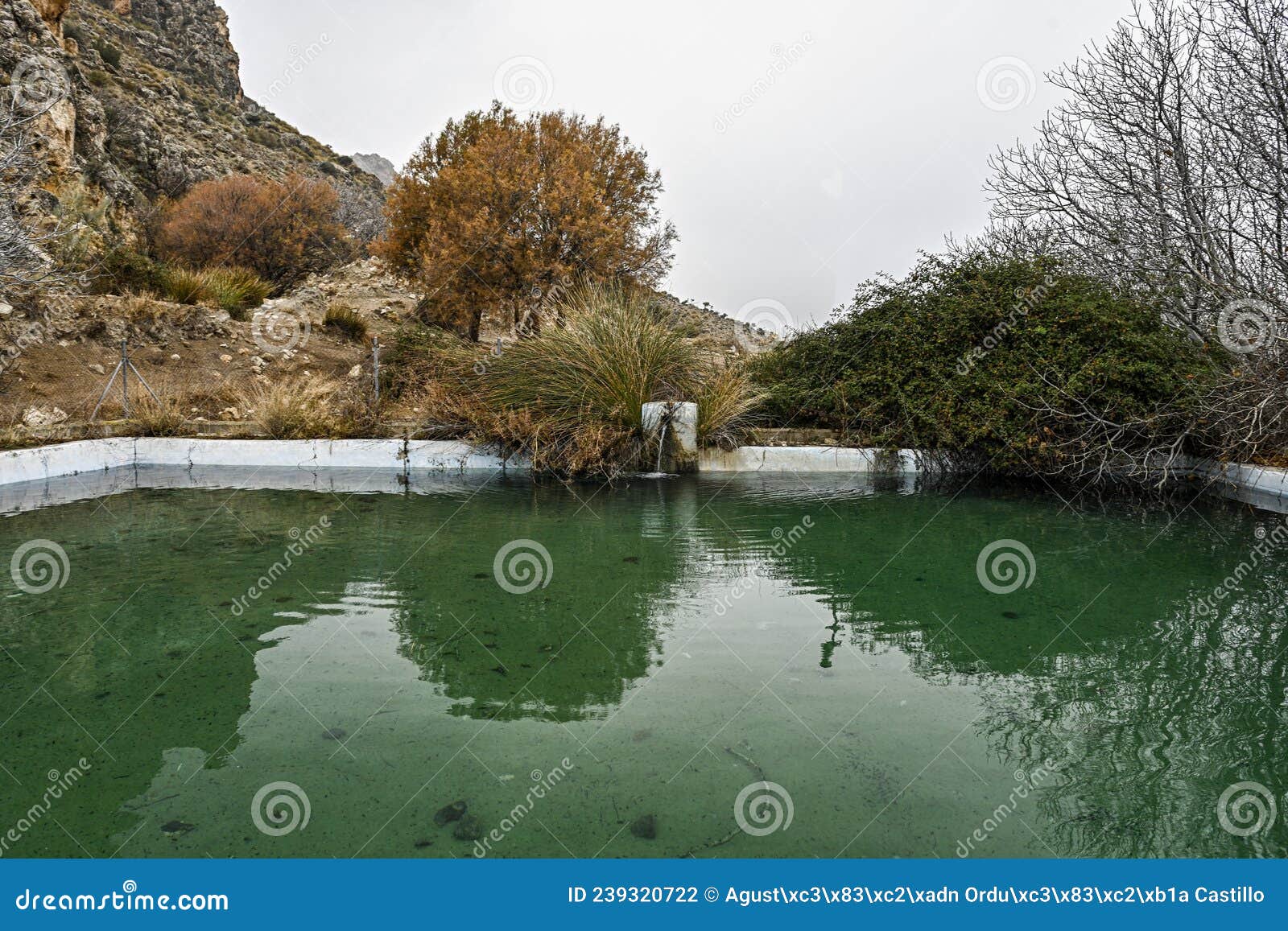 Pool or Pond of Water for Irrigation in Granada, Andalusia Stock Photo ...