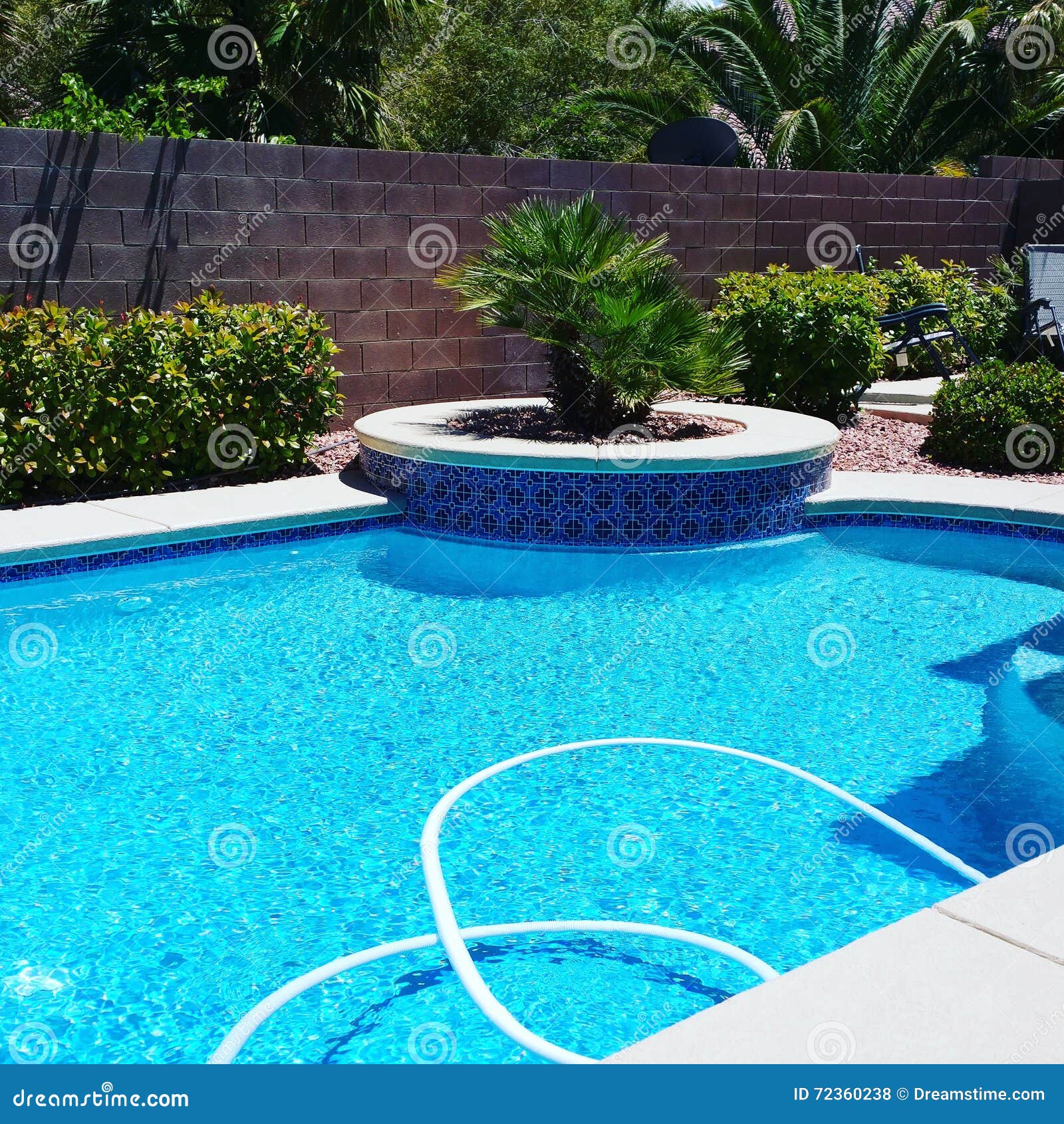 Pool Ready stock photo. Image of southwest, backyard - 72360238
