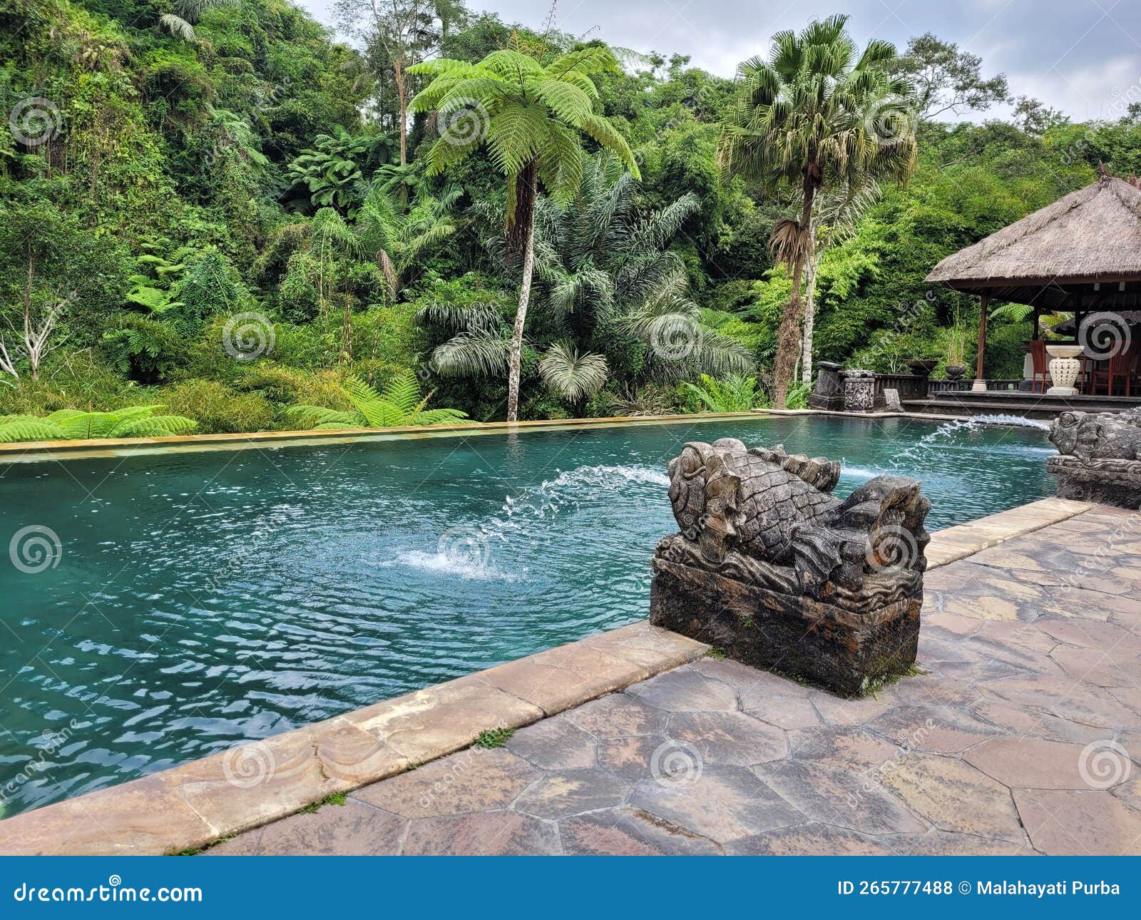 Pool and relax stock photo. Image of relax, river, estate - 265777488