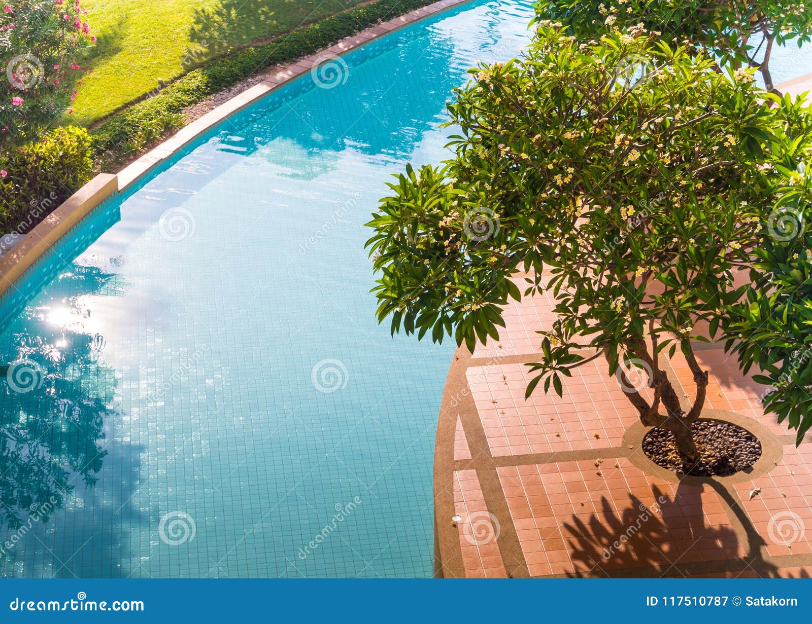 Pool and Relax Park View from High-rise Building Stock Image - Image of ...