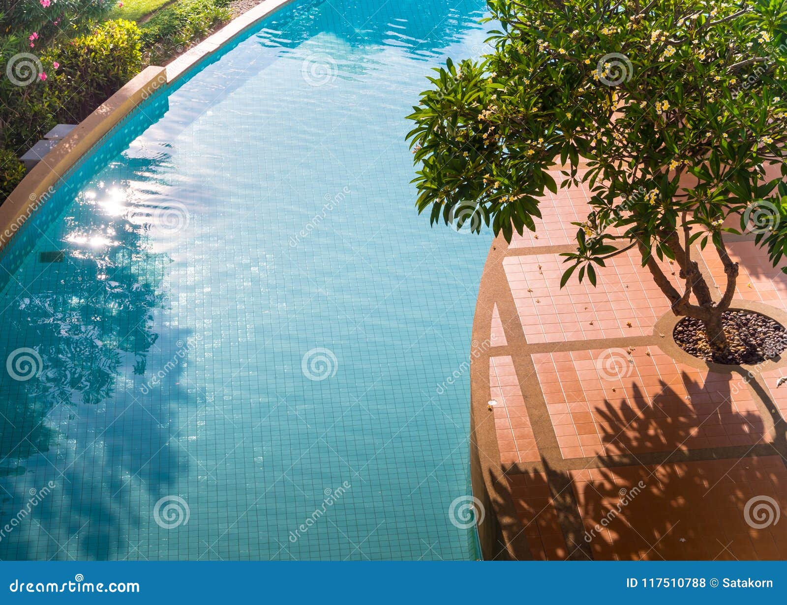 Pool and Relax Park View from High-rise Building Stock Photo - Image of ...