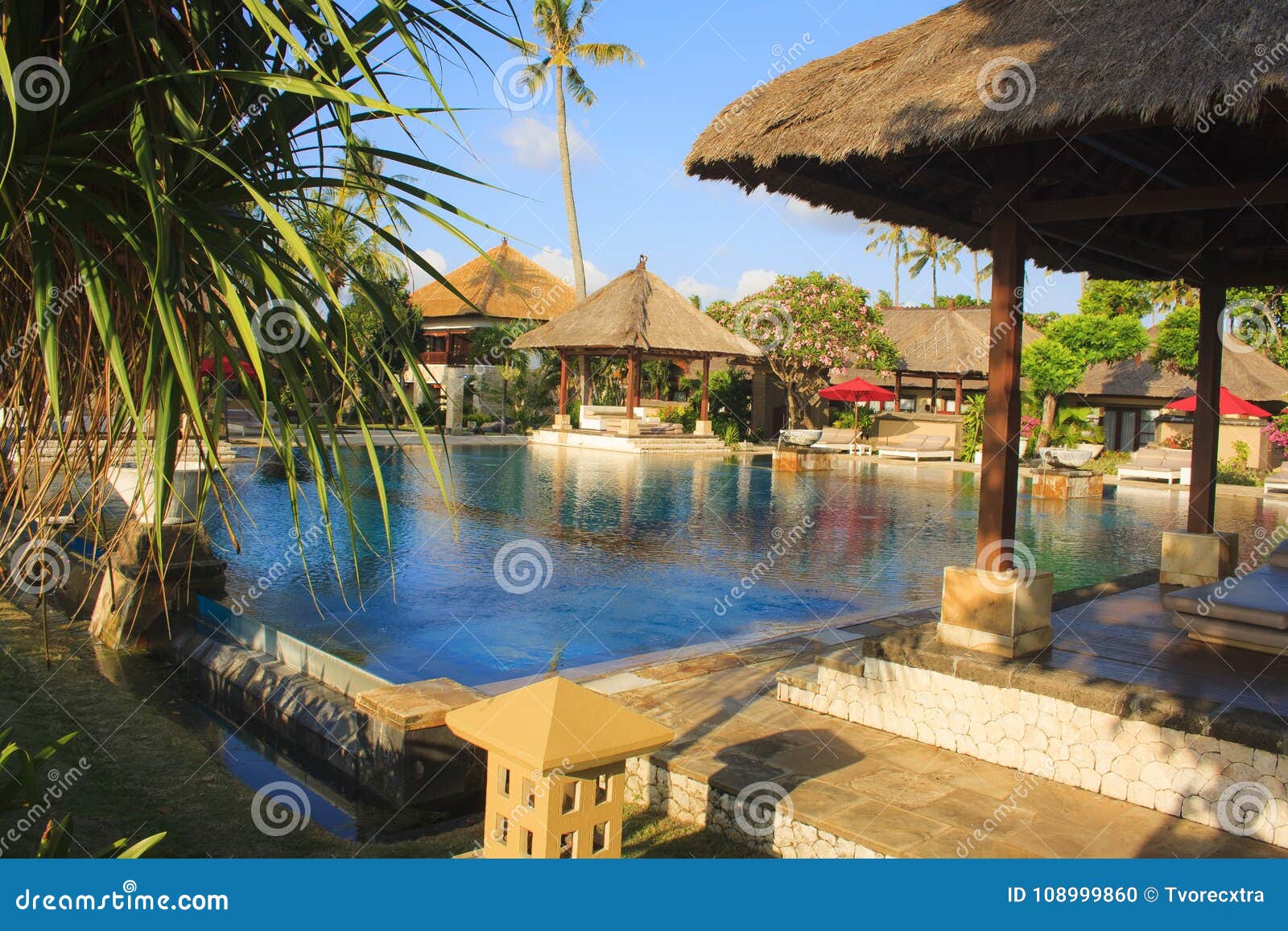 The Pool of Resort. the Island of Bali Stock Photo - Image of farming ...