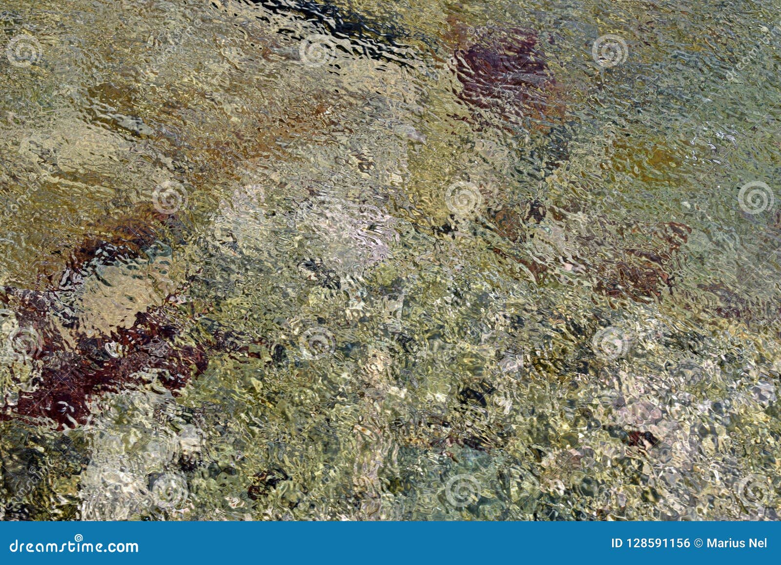 Pool ripples stock photo. Image of waters, colors, wind - 128591156