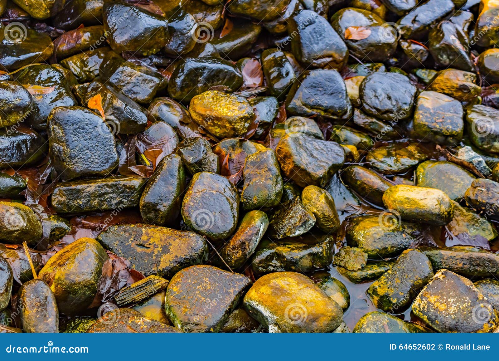 Pool of rocks stock photo. Image of alone, foutain, shiny - 64652602