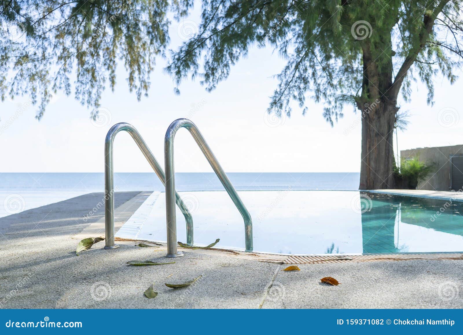 Pool with Sea Under the Trees Relax Stock Photo - Image of maldives ...