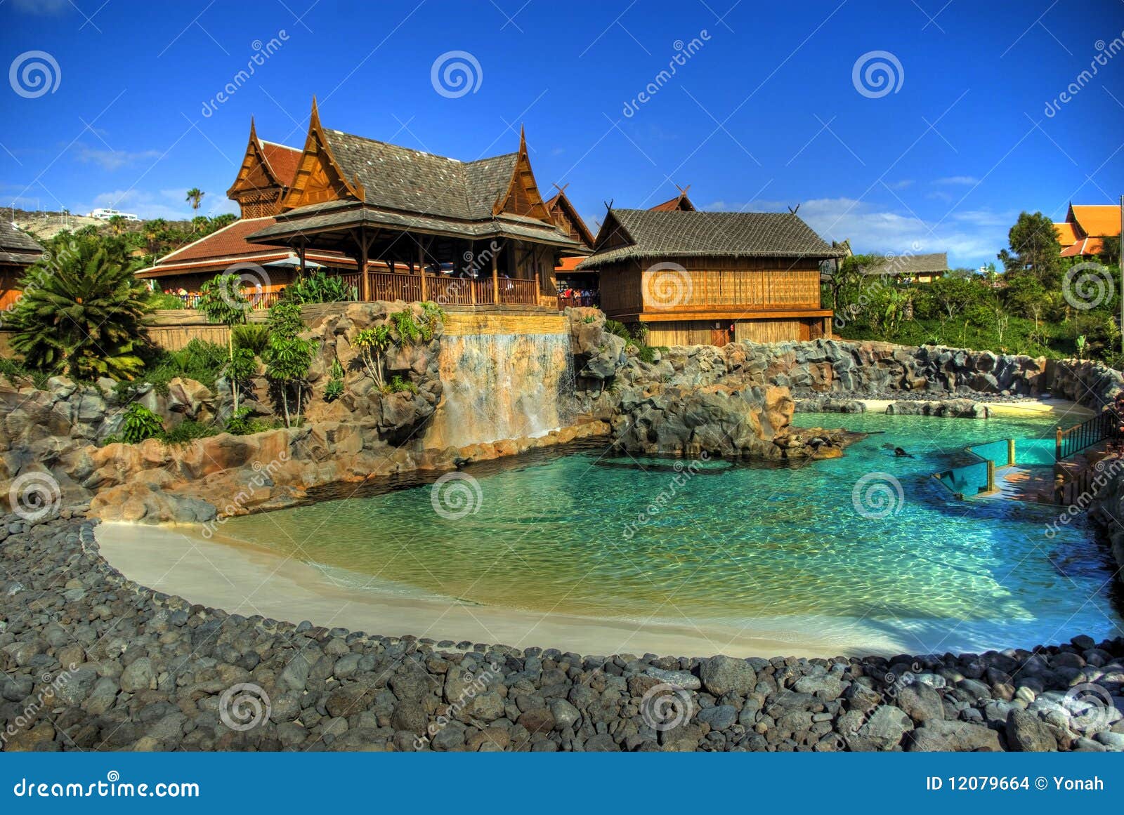 Pool and Seals in Siam Park, Tenerife Stock Photo - Image of ground ...