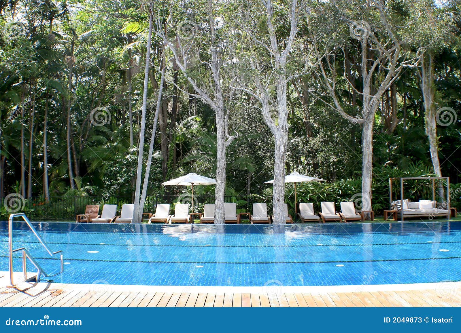 Pool Side Picture. Image: 2049873