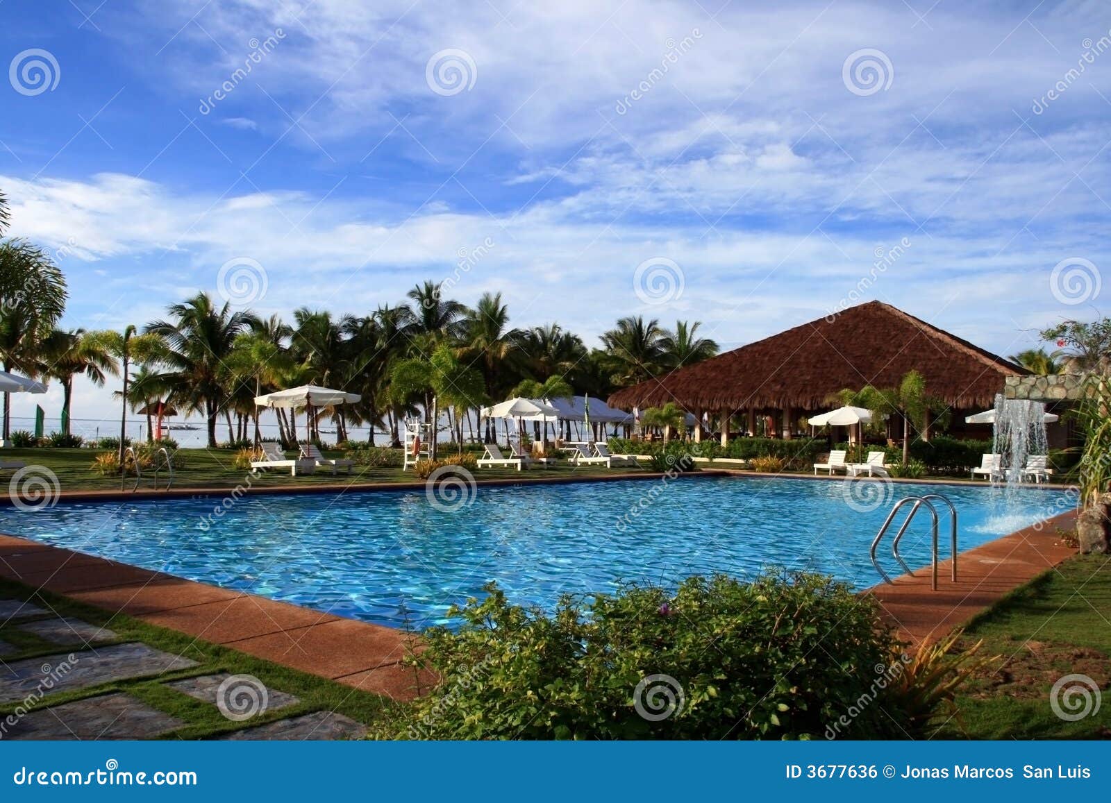 Pool side stock photo. Image of sunny, reflection, tree - 3677636