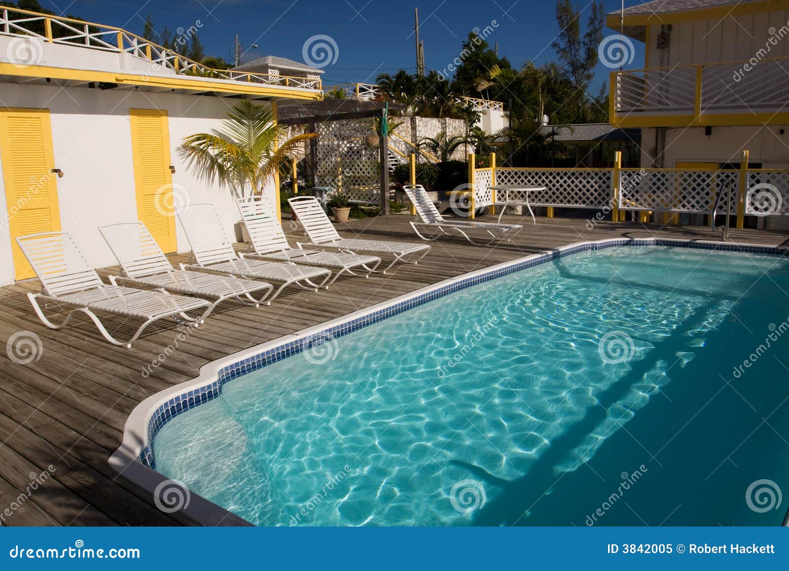 Pool side sun beds stock image. Image of deck, green, wood - 3842005