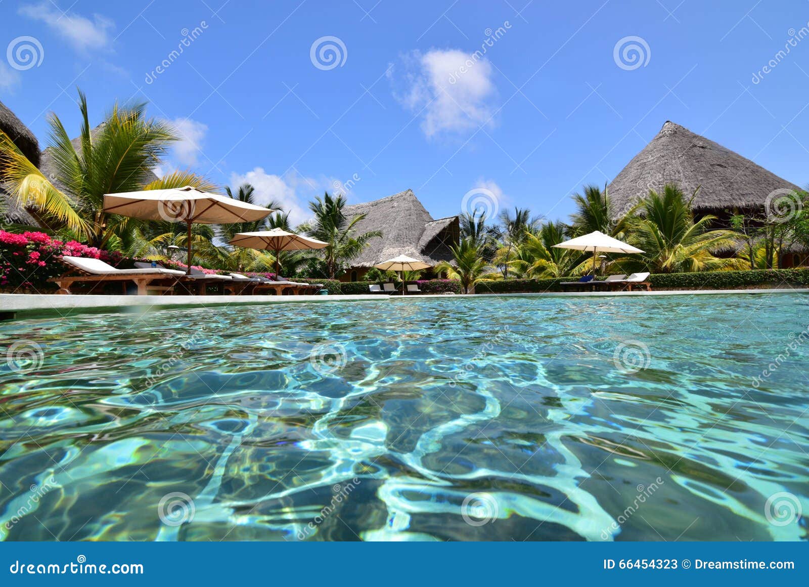 Pool side water swimming stock image. Image of beautiful - 66454323