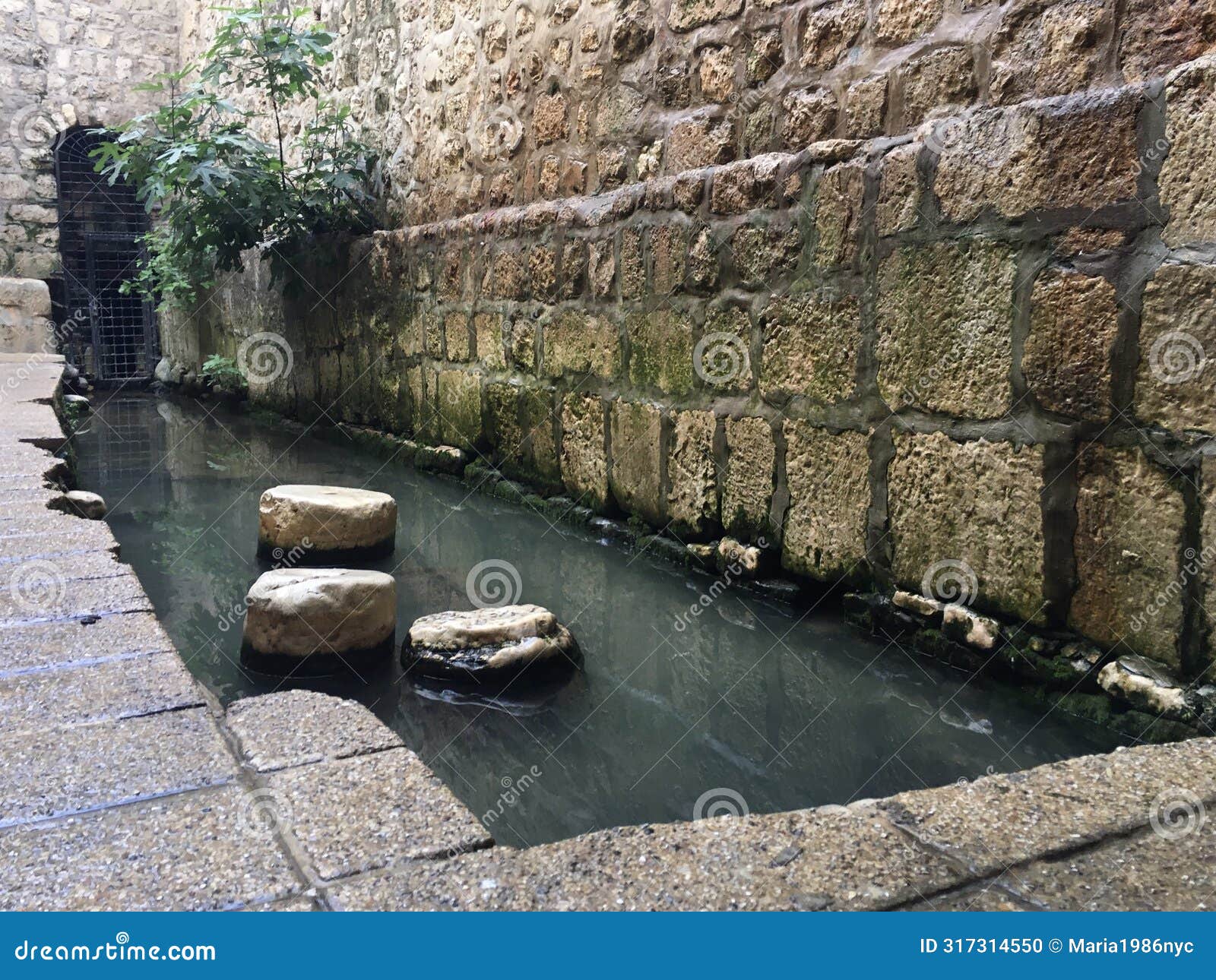 Pool of Siloam in Jerusalem in Israel. Stock Photo - Image of tunnel ...
