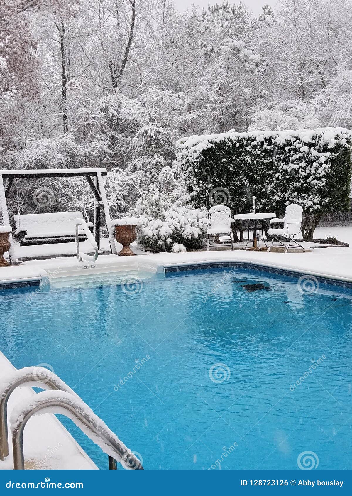 Pool snow stock photo. Image of pool, backyard, trees - 128723126